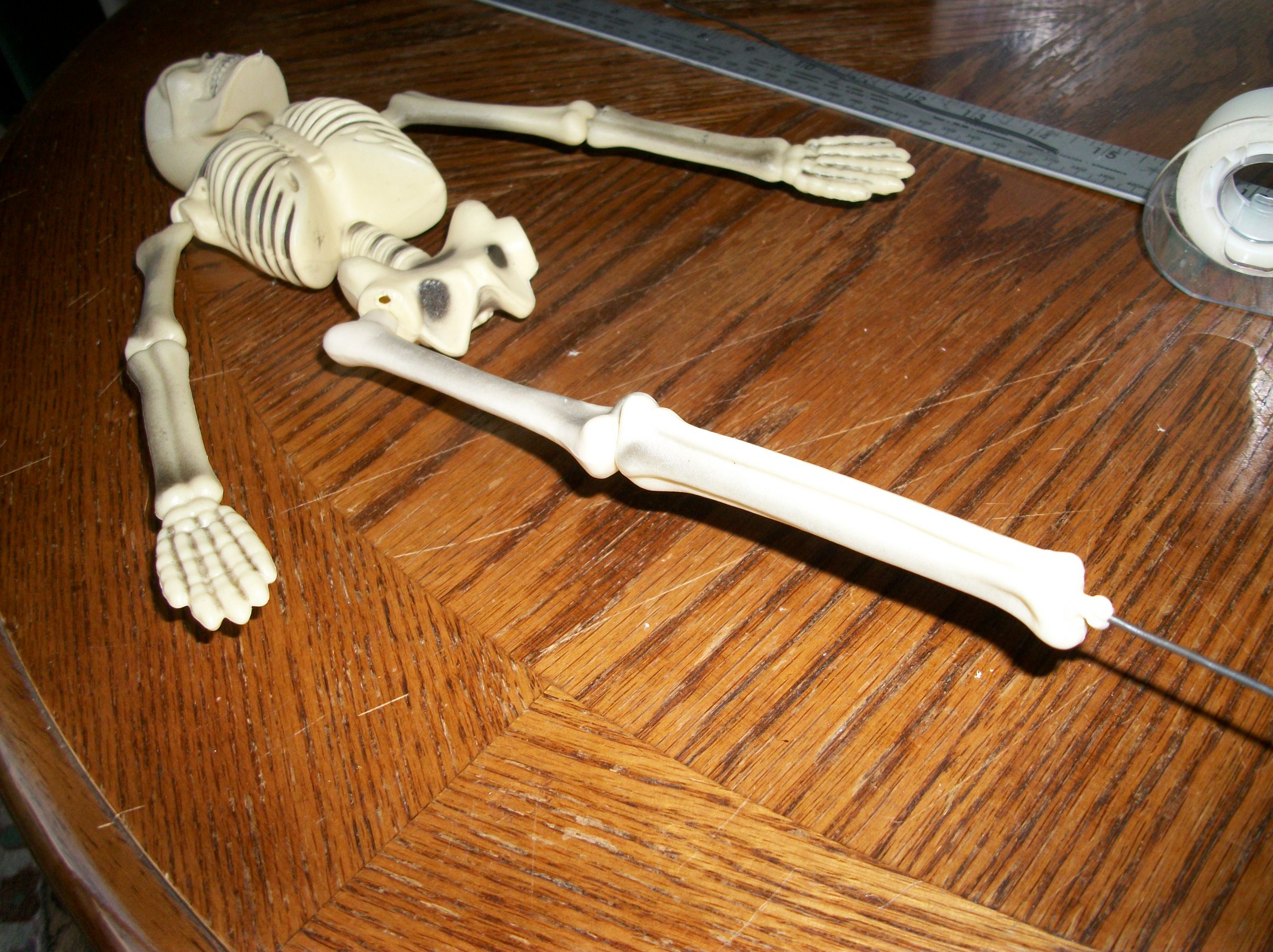 Posable Skelly : 5 Steps (with Pictures) - Instructables