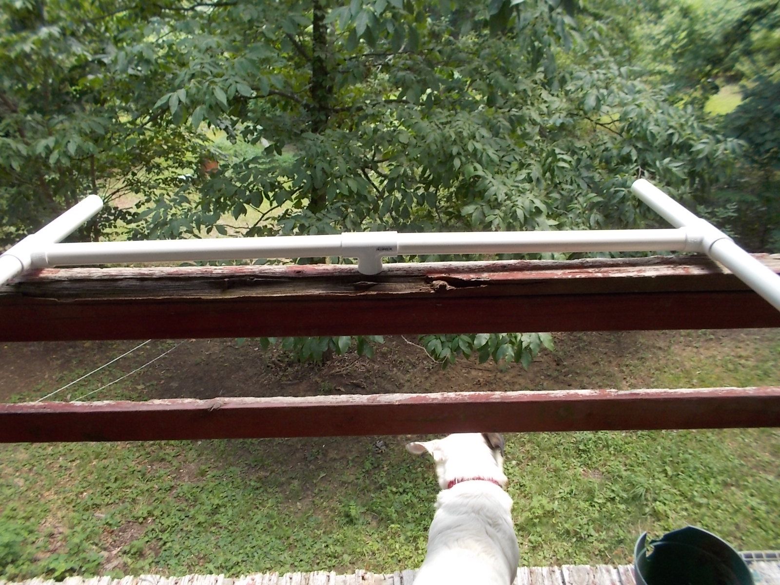 Mini Clothesline : 5 Steps (with Pictures) - Instructables