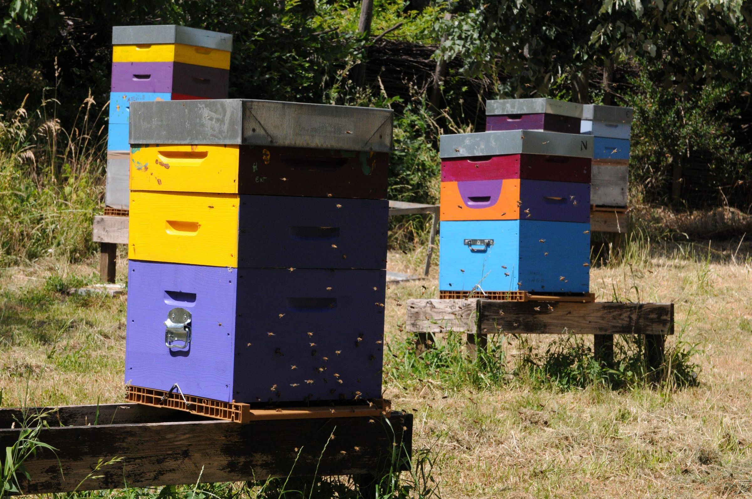 A Connected Hive : 7 Steps (with Pictures) - Instructables