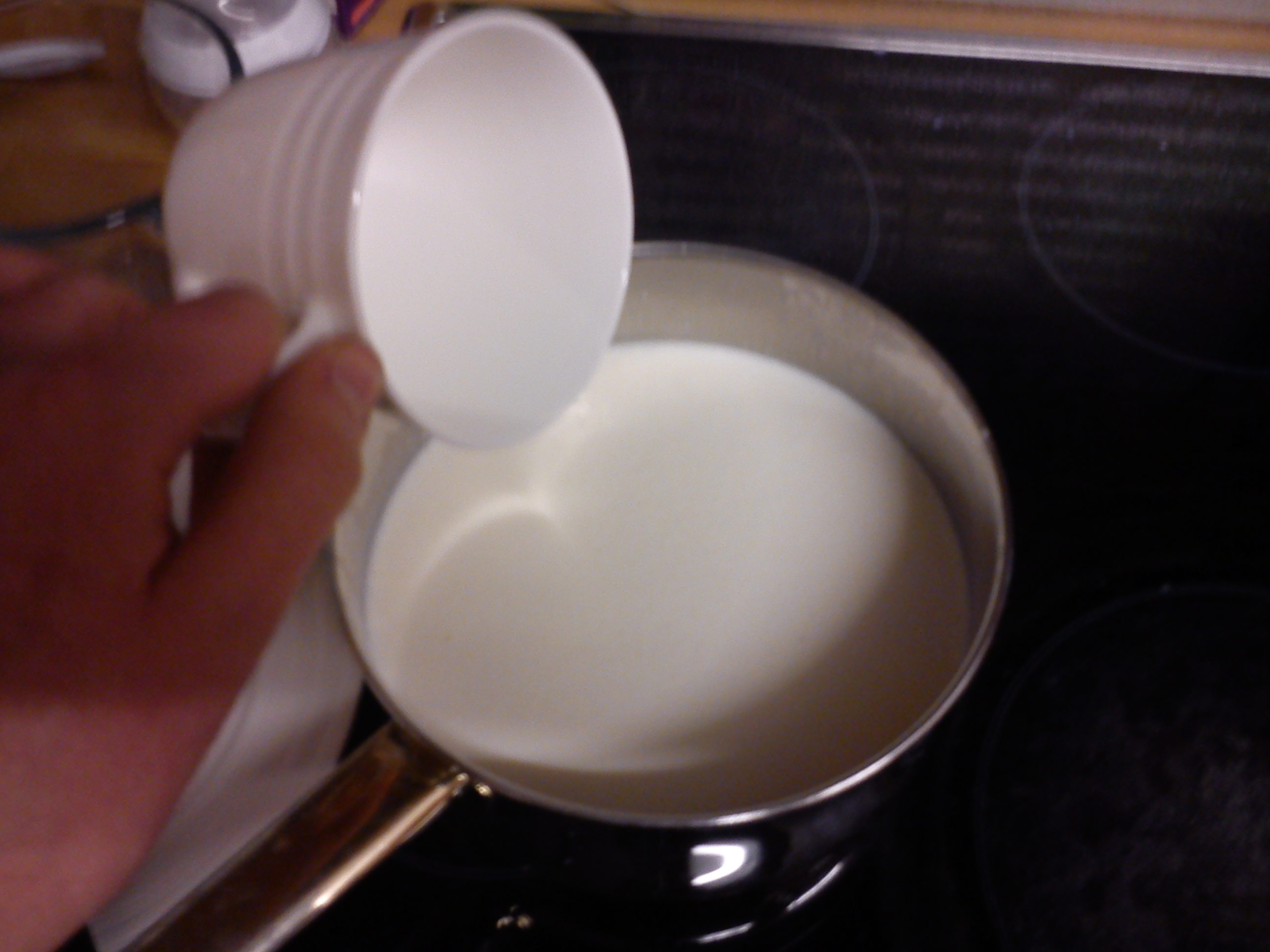 How to Make Great Homemade Mozzarella : 13 Steps (with Pictures ...