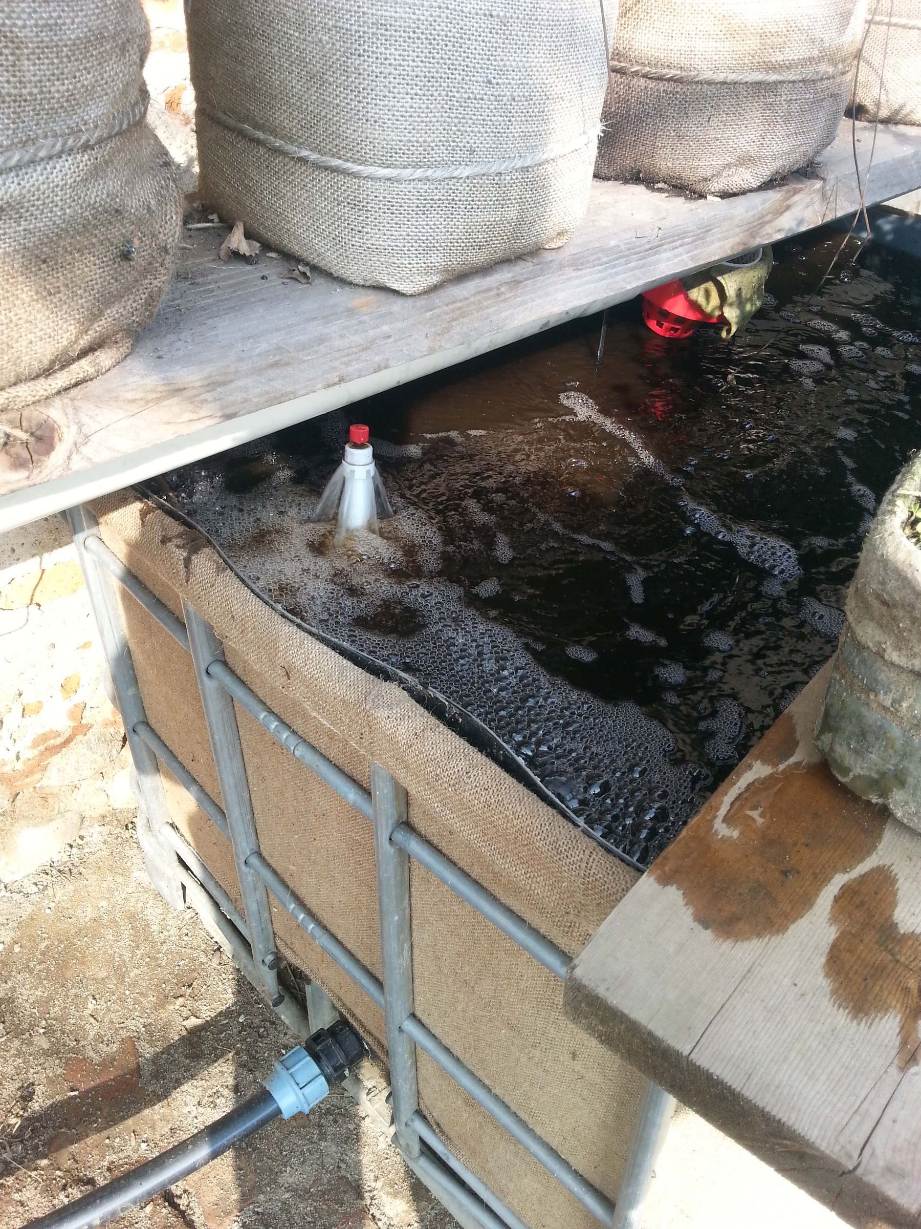 Nook Garden - Self Watering System (+ April Update) : 8 Steps (with ...