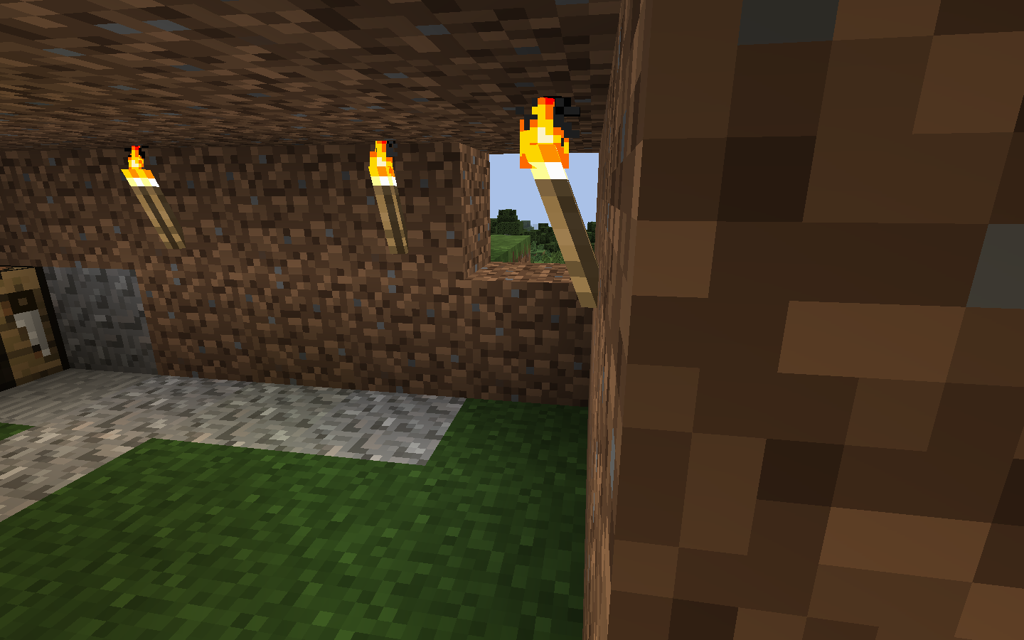 How to Survive Your First Day in Minecraft : 10 Steps (with Pictures ...