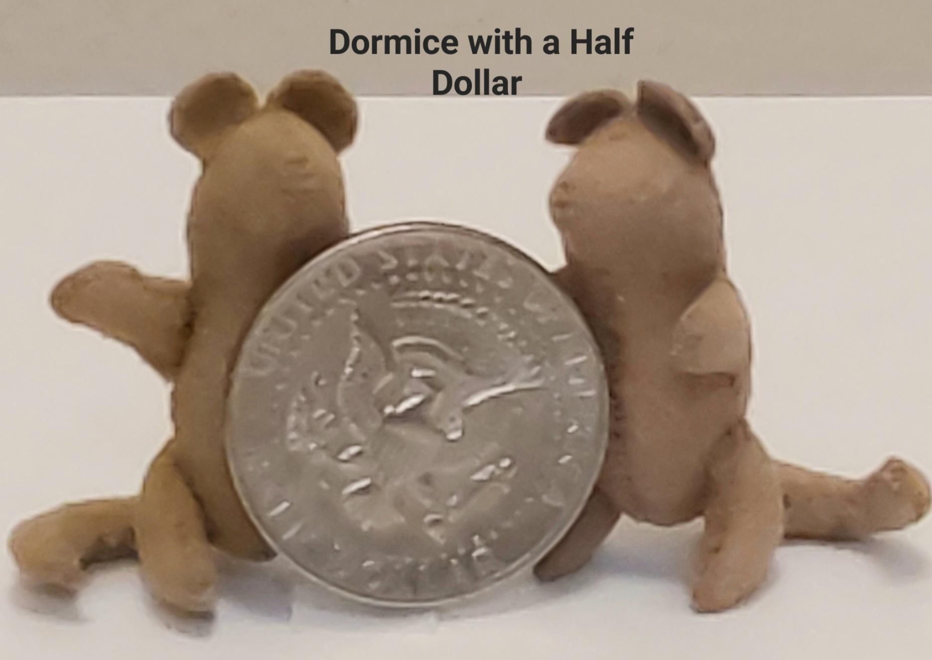 Crayon Dyed Miniature Dormice and Beds : 10 Steps (with Pictures ...