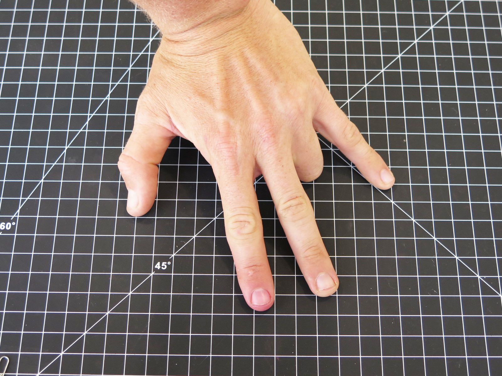 Chicken Foot Dissection : 7 Steps - Instructables