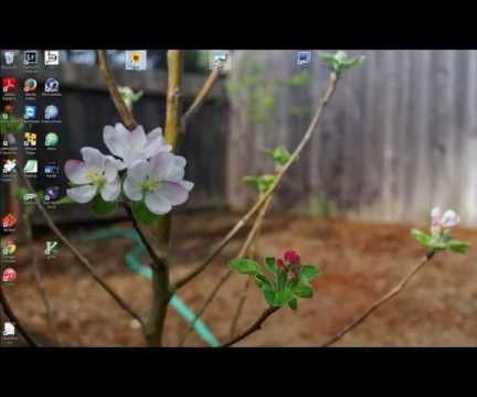 Changing Windows Desktop Backgorund From Task Scheduler or Shortcut : 9 ...