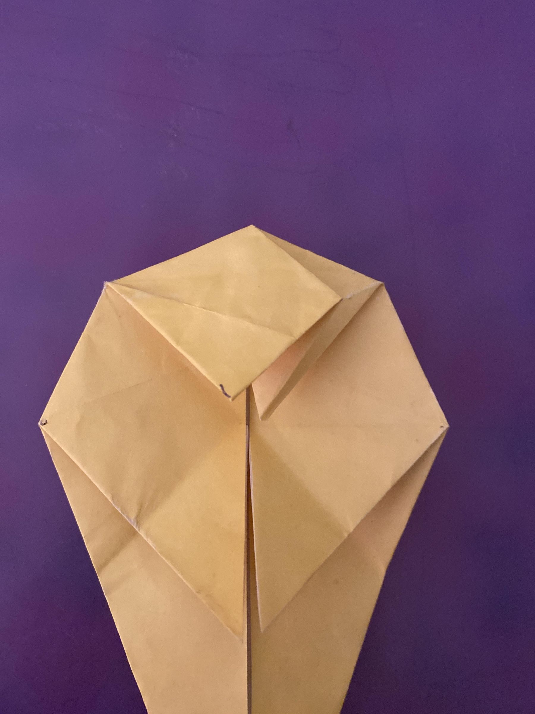 Origami Rat : 27 Steps - Instructables