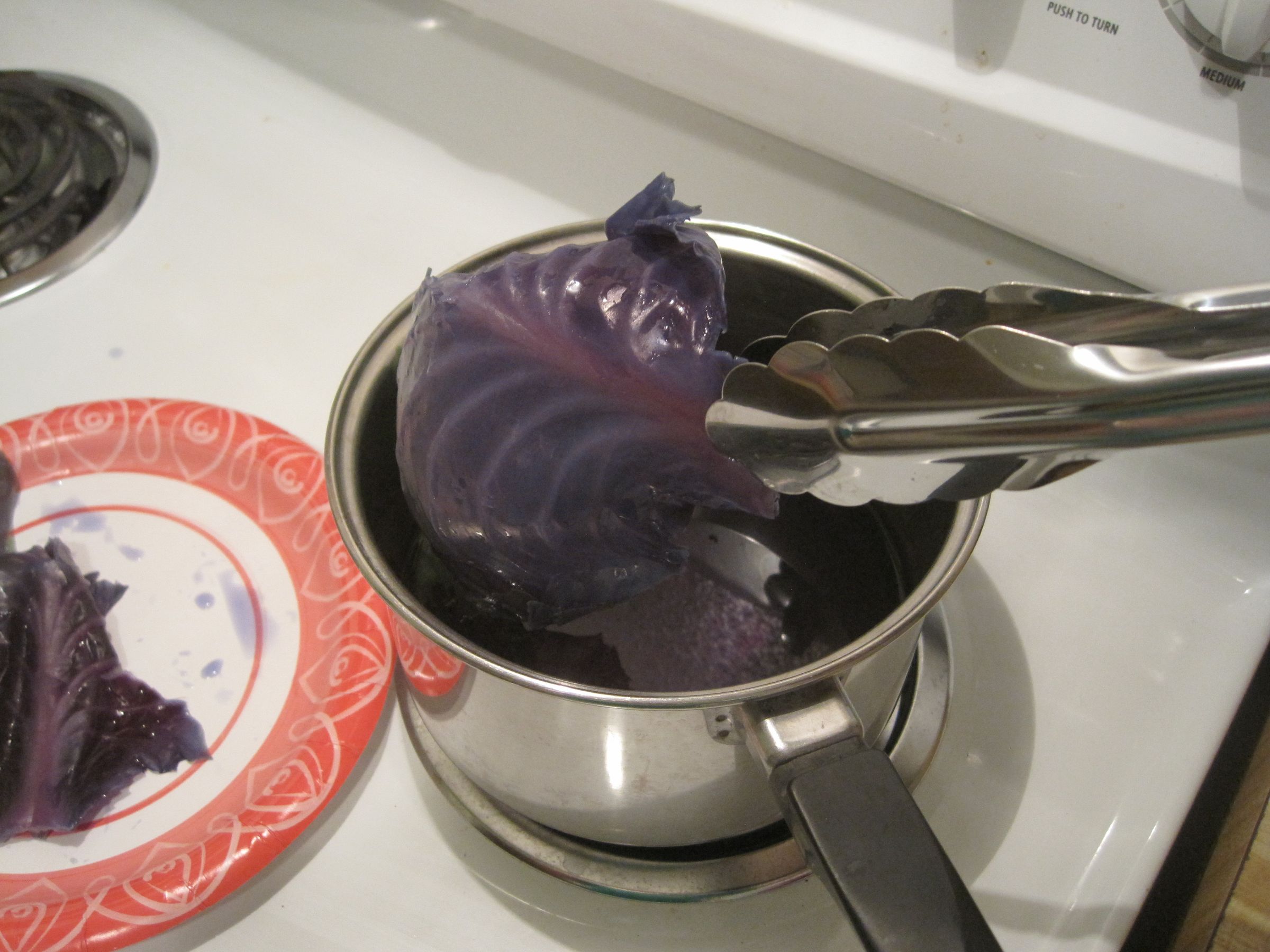 Red Cabbage PH Indicator : 14 Steps - Instructables