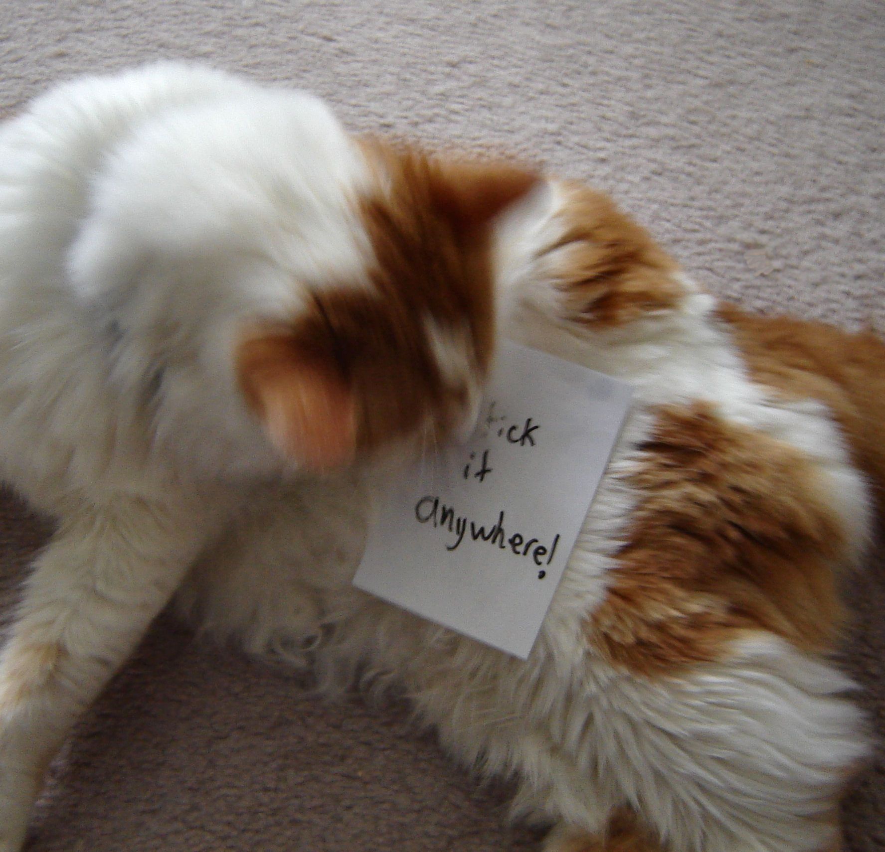 Reusable Posty Notes : 6 Steps (with Pictures) - Instructables