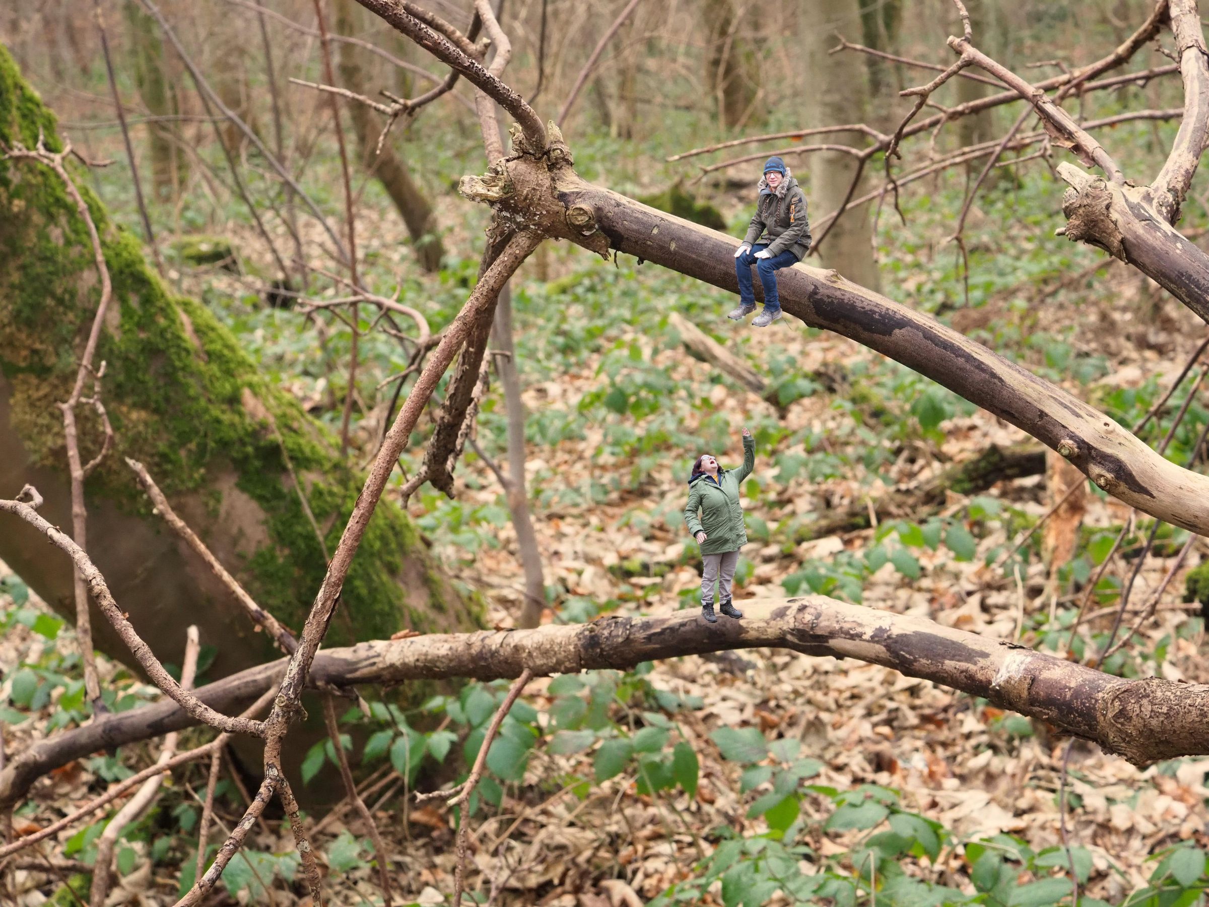 Composite Tiny Photography in Gimp : 7 Steps (with Pictures ...