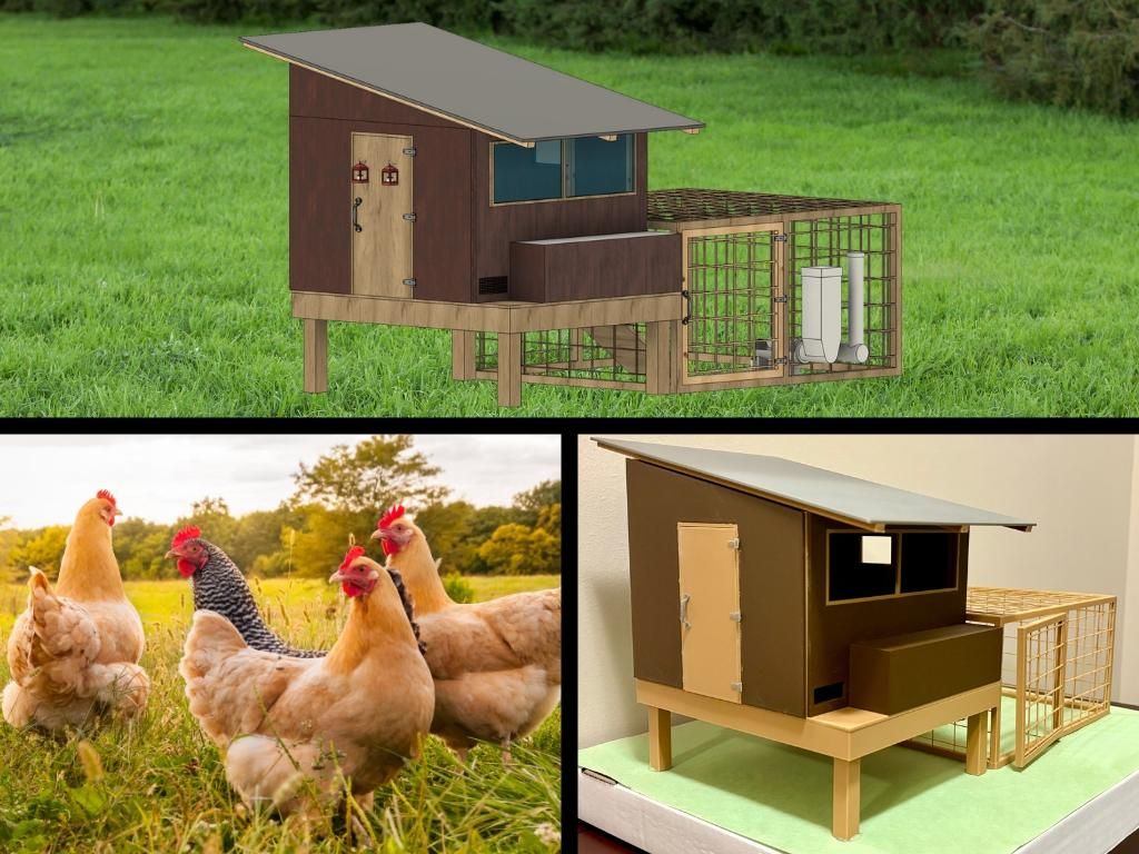 3D Printing a Backyard Chicken Coop: an Alternative to Factory Farming ...