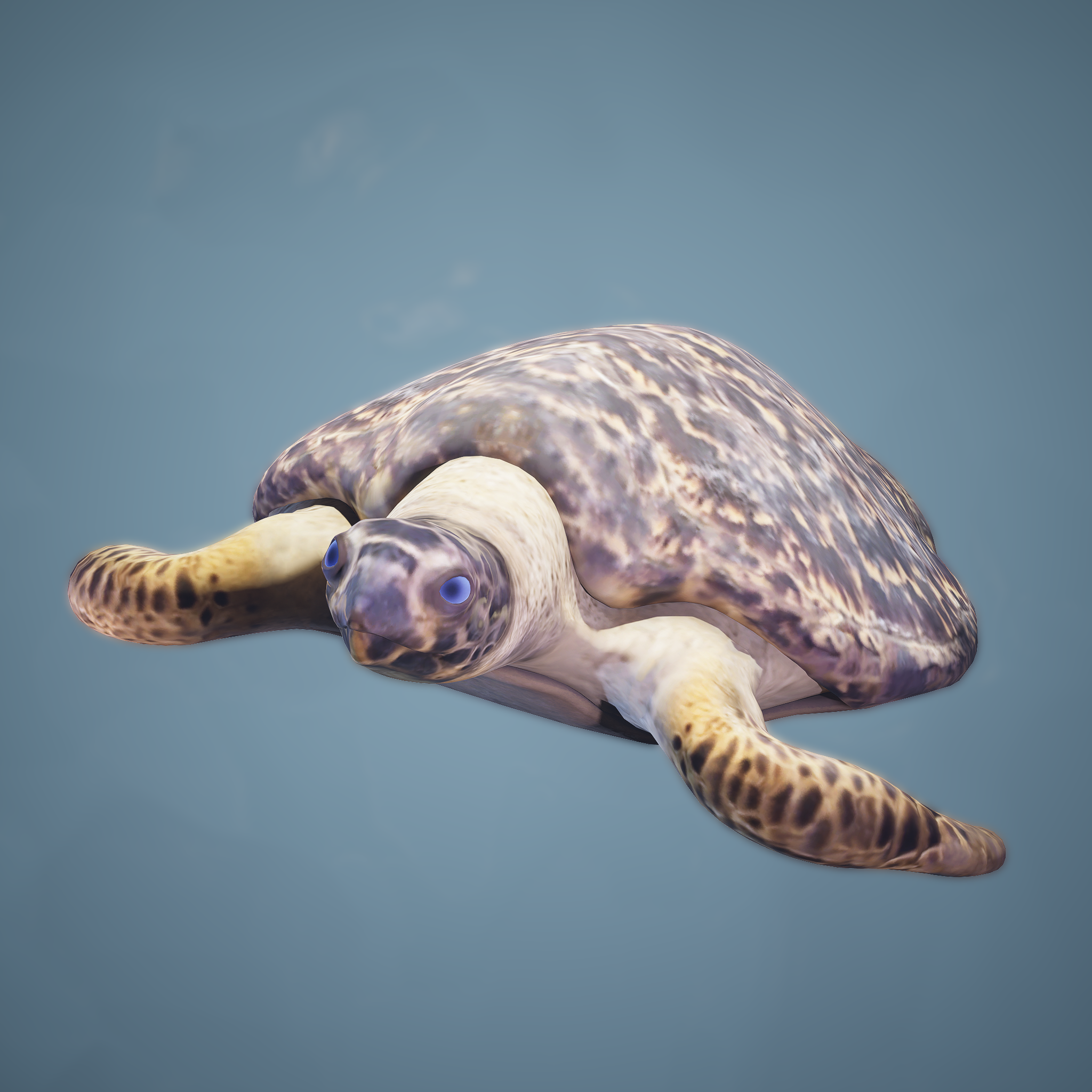 Enlivened Hawksbill Sea Turtle | Animated Photogrammetry Scan : 11 Steps (with Pictures ...