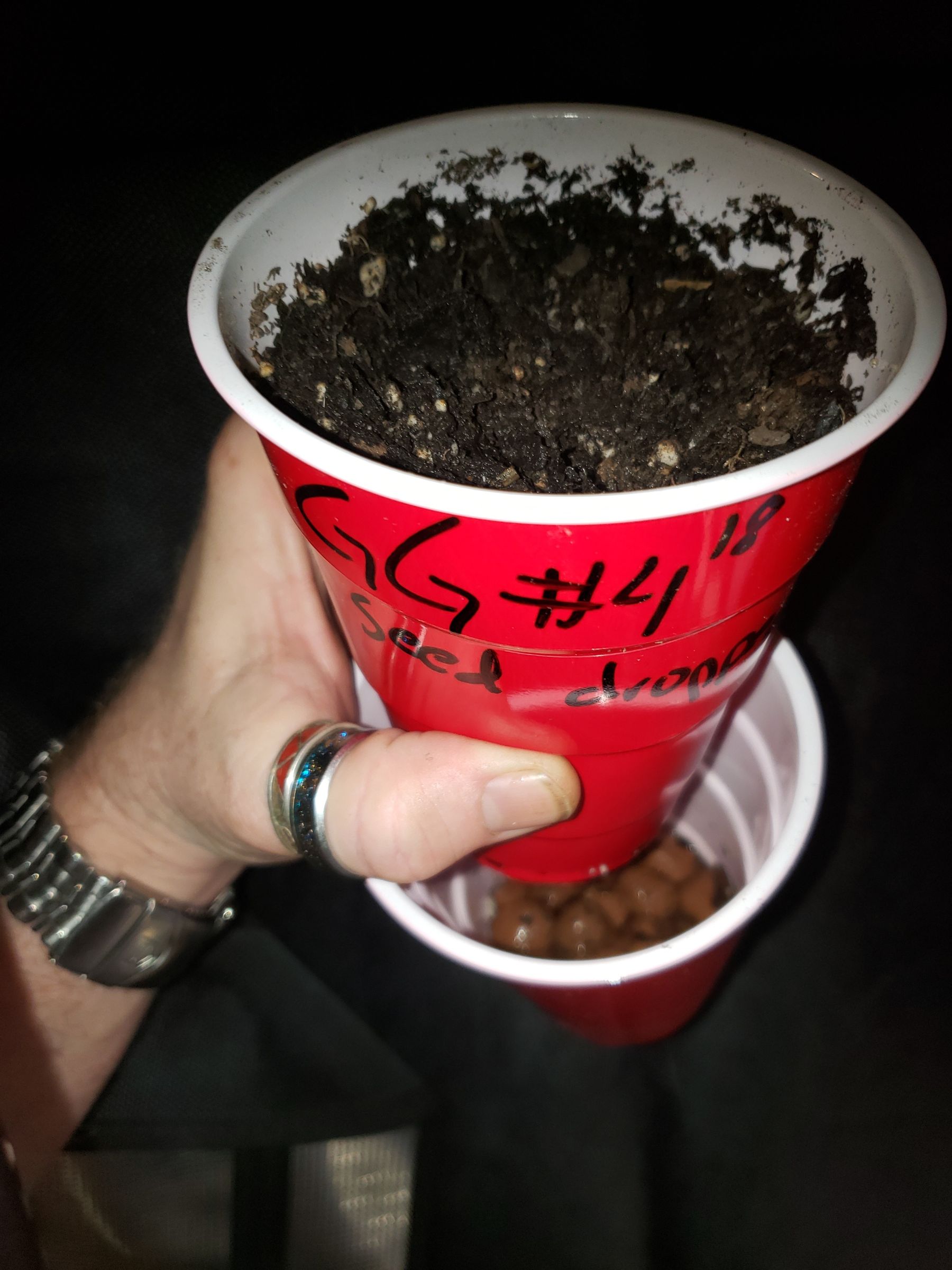 Transform Ordinary Solo Cups Into a Hybrid Hydroponic/Soil Plant ...