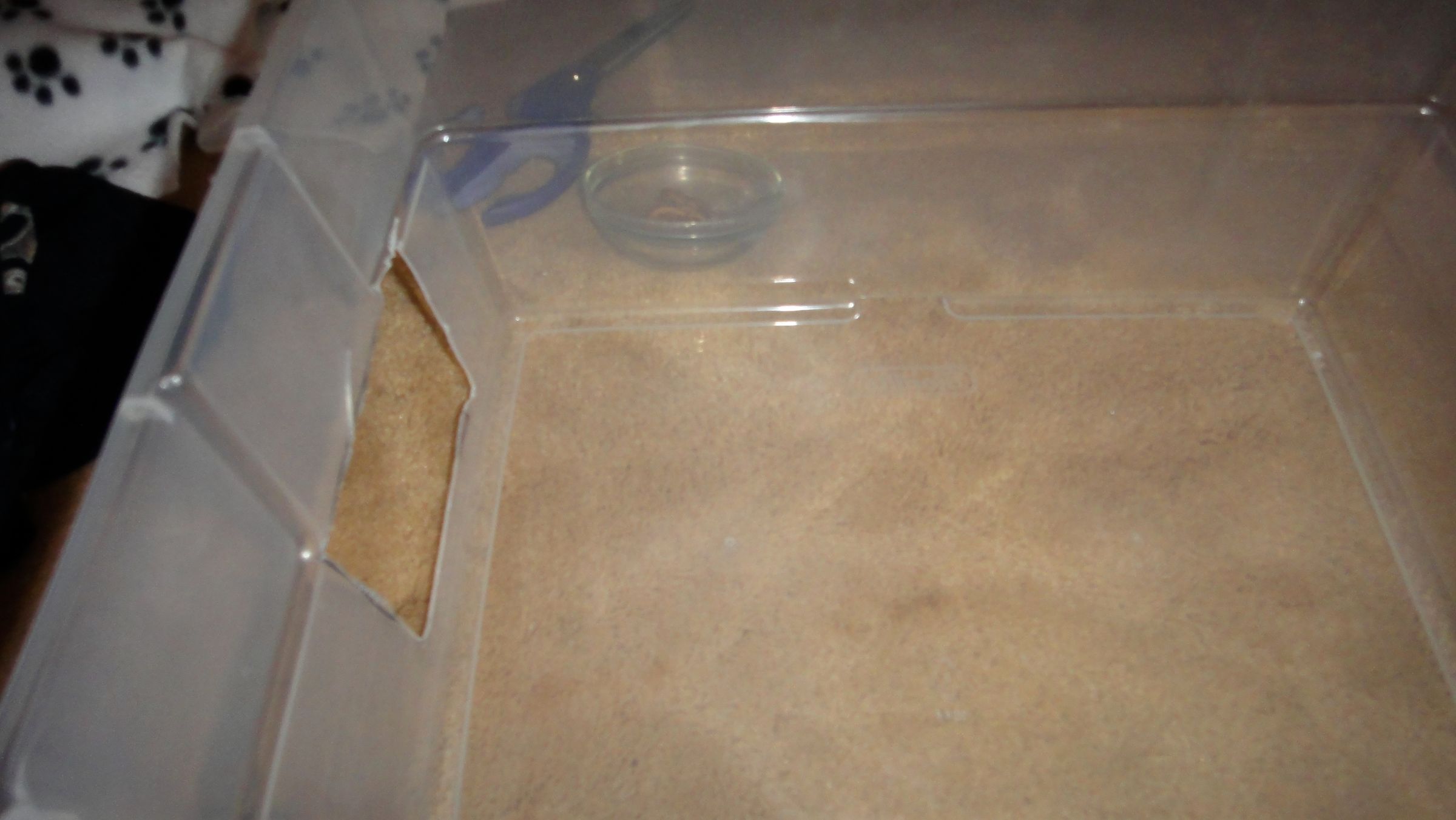 Simple Hedgehog Dig Box : 3 Steps (with Pictures) - Instructables