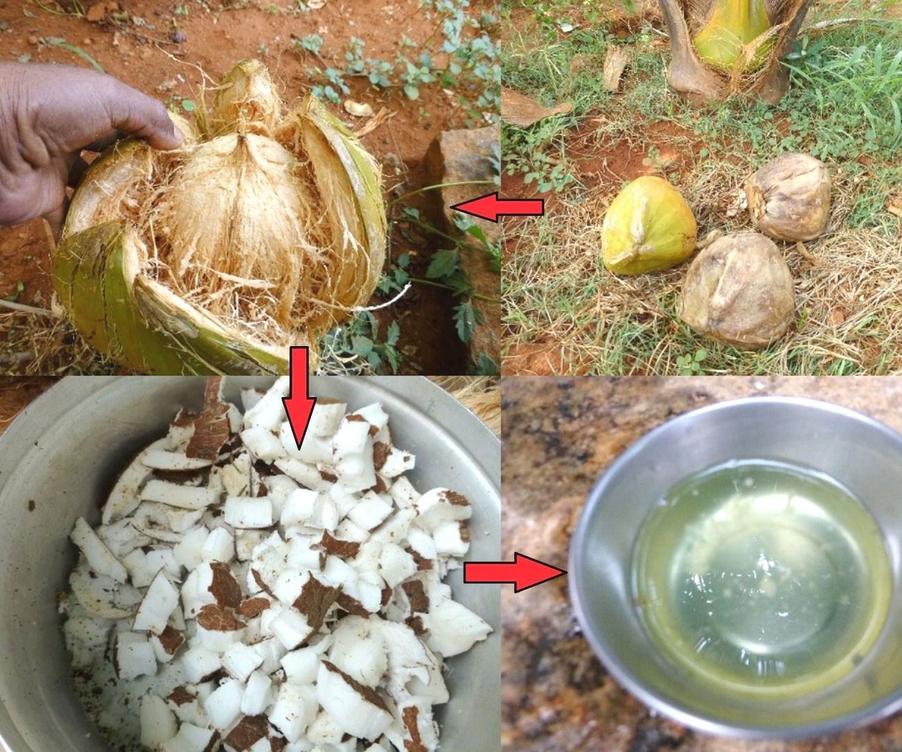 How to Make Coconut Oil From Scratch... : 10 Steps (with Pictures ...