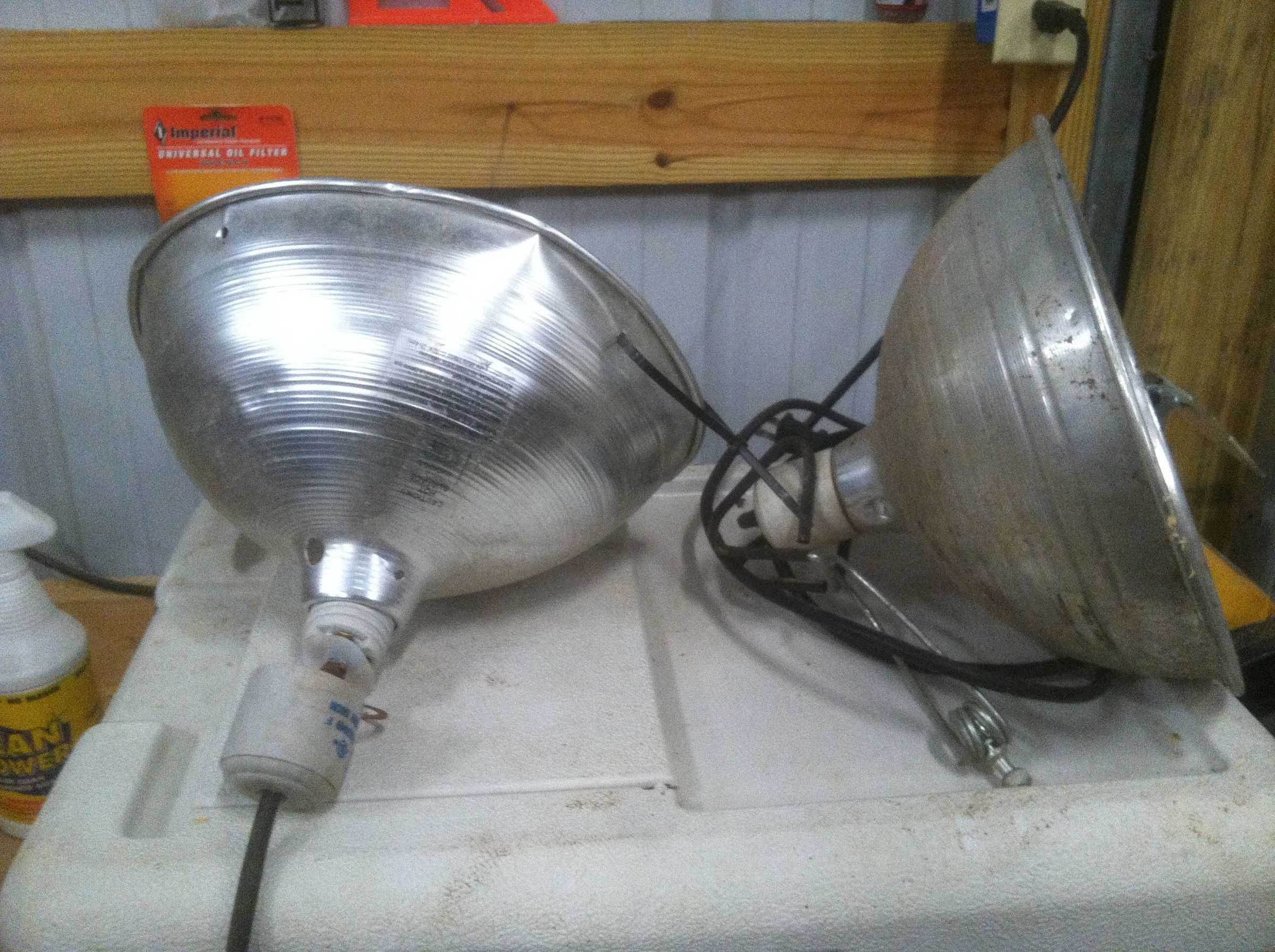 Cooler Incubator : 13 Steps - Instructables