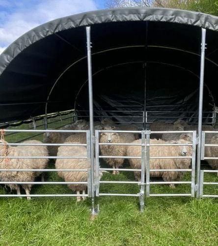 The Ultimate Guide to Choosing the Perfect Cattle Field Shelter for ...