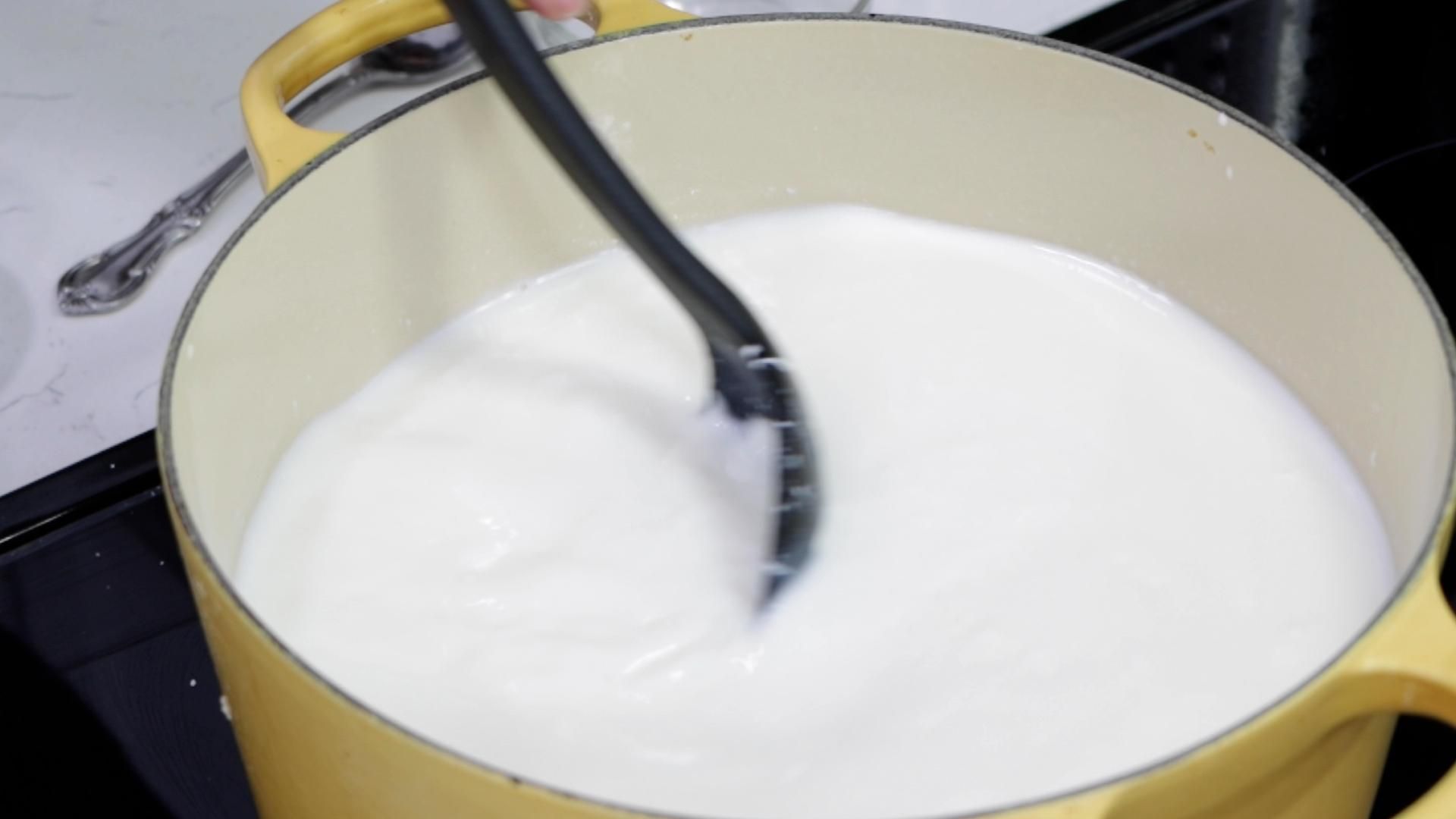 How to Make Mozzarella Cheese With Cheap Milk : 9 Steps (with Pictures ...