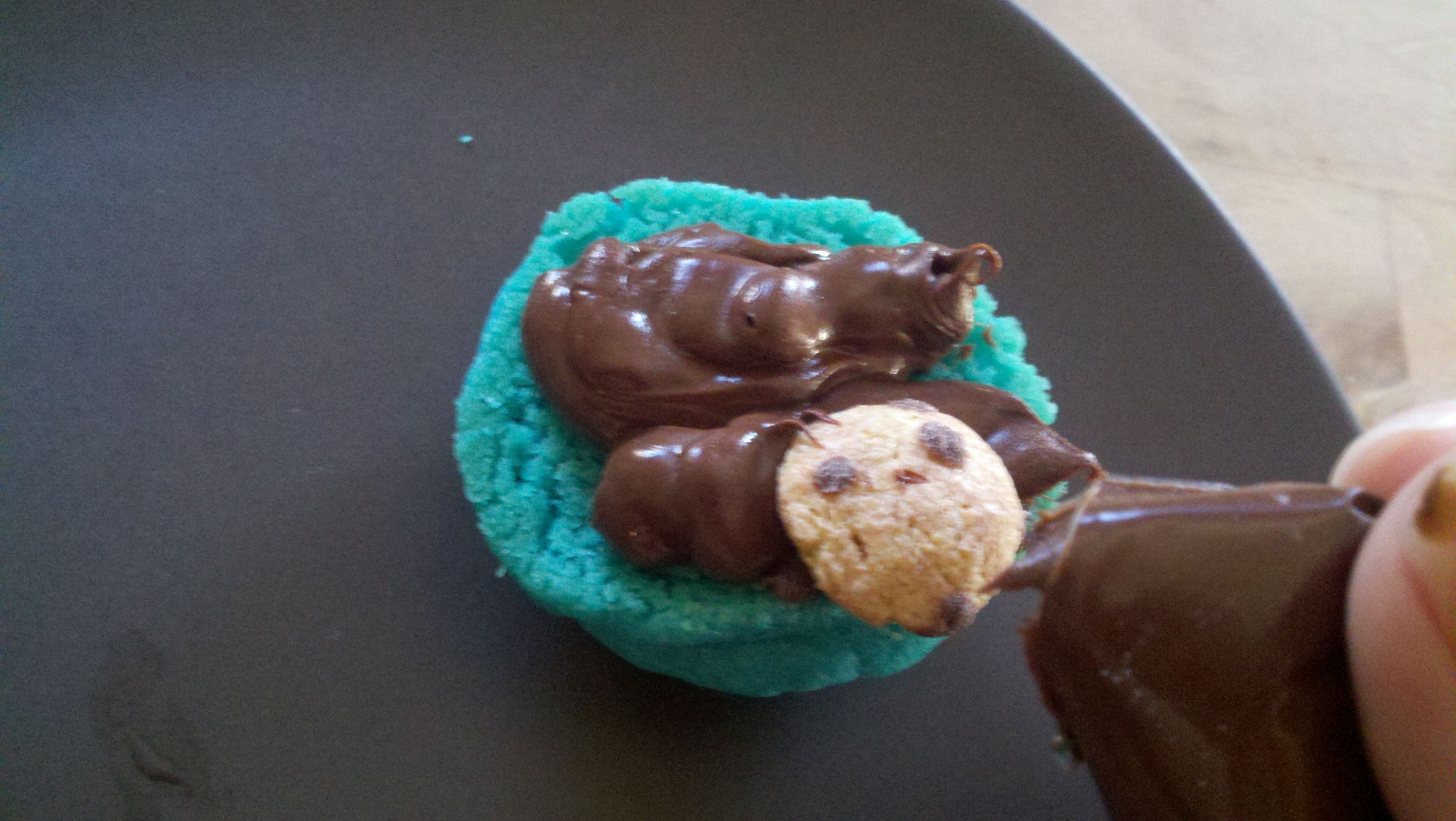 Double Cookie Cookie Monster Cookies! : 11 Steps (with Pictures ...
