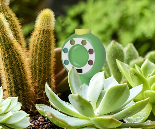 SunCalc: How Much Sunlight Is My Plant Getting? a Sun Light Calculator ...