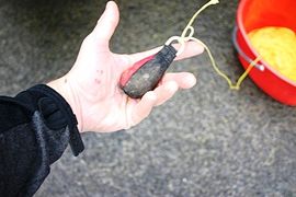 How to Get a Rope Into a Tree (without Climbing It) : 6 Steps ...
