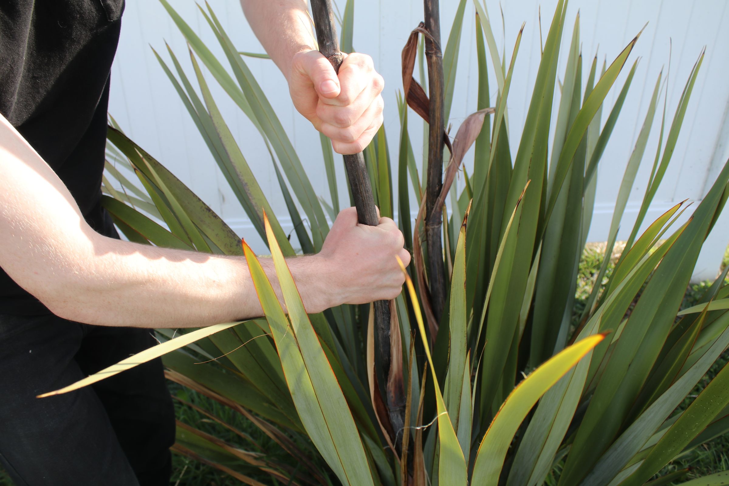 How to Carve a Flax Boat : 10 Steps (with Pictures) - Instructables