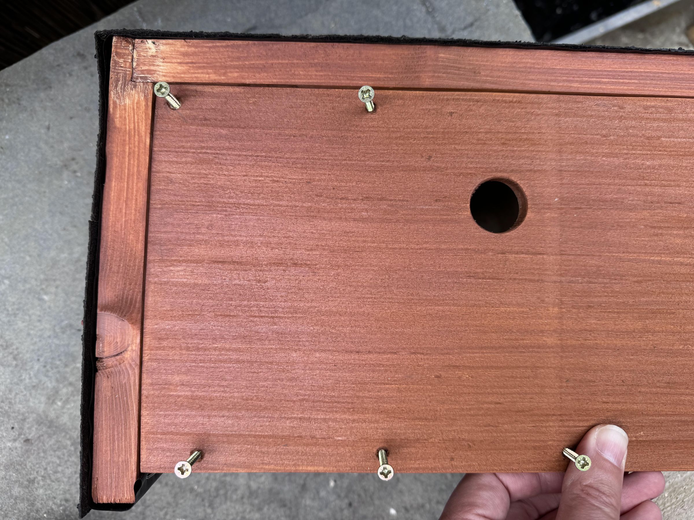 Side View Bird Box Camera and BlueTit Diary : 70 Steps (with Pictures ...