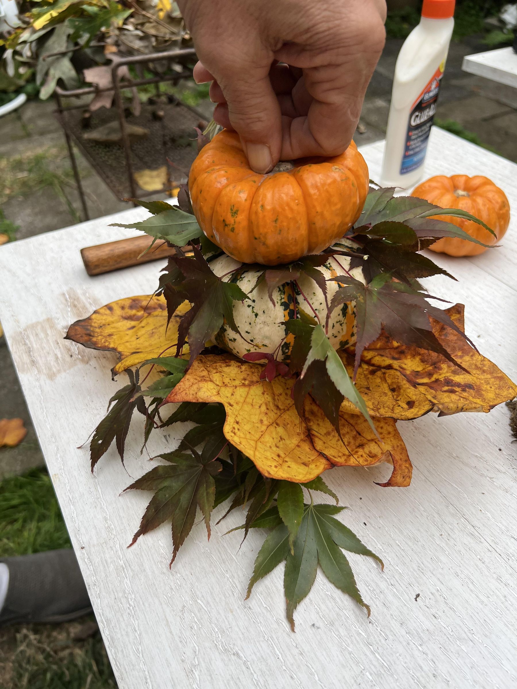 Make Festive Gourd Trees : 12 Steps (with Pictures) - Instructables
