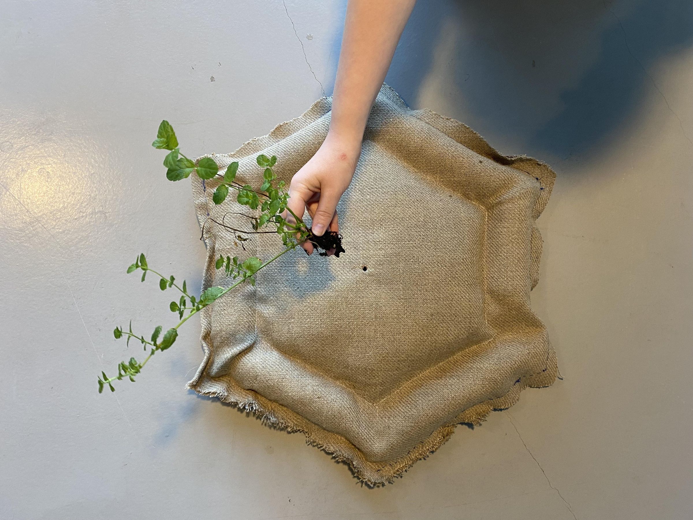 Phytodrift – Floating Treatment Garden : 7 Steps (with Pictures) - Instructables