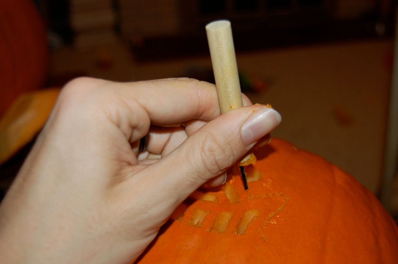 Precision Pumpkin Carving : 9 Steps (with Pictures) - Instructables