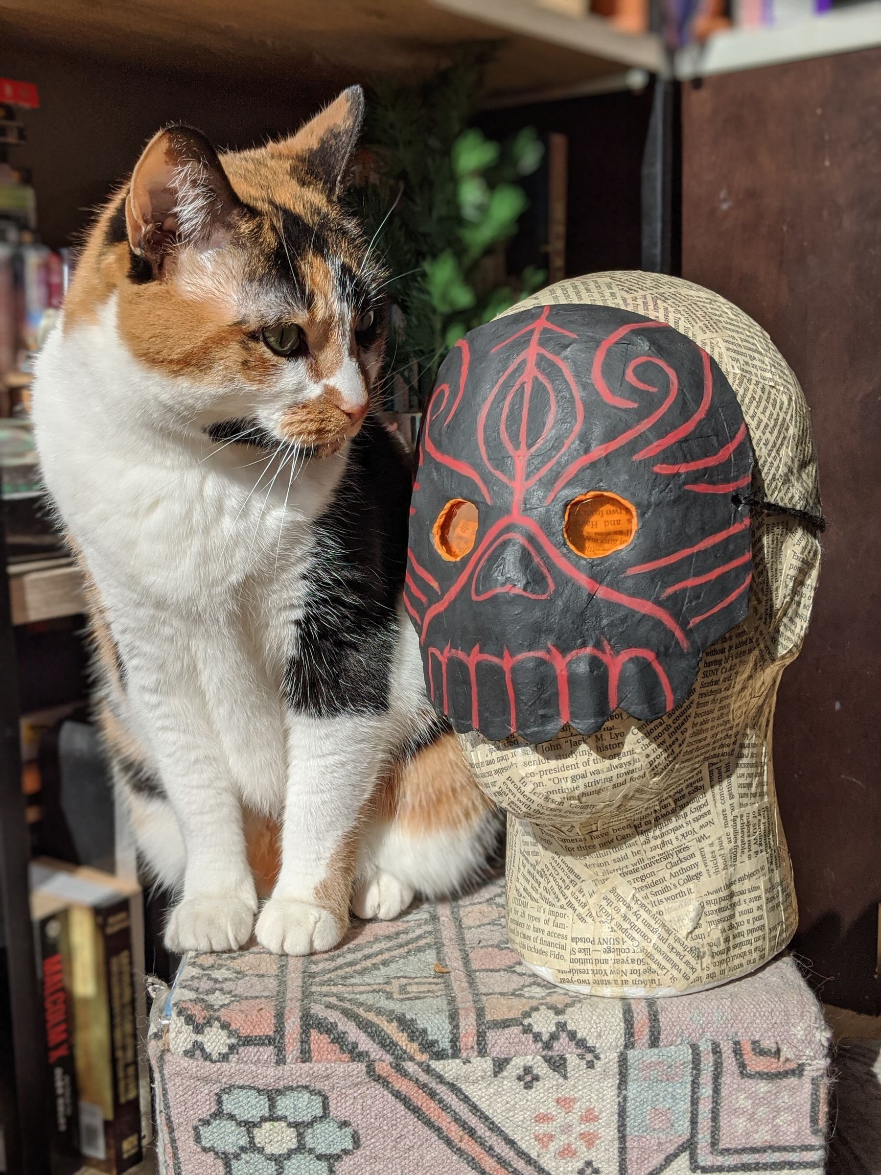 Paper Mache Mask : 11 Steps (with Pictures) - Instructables