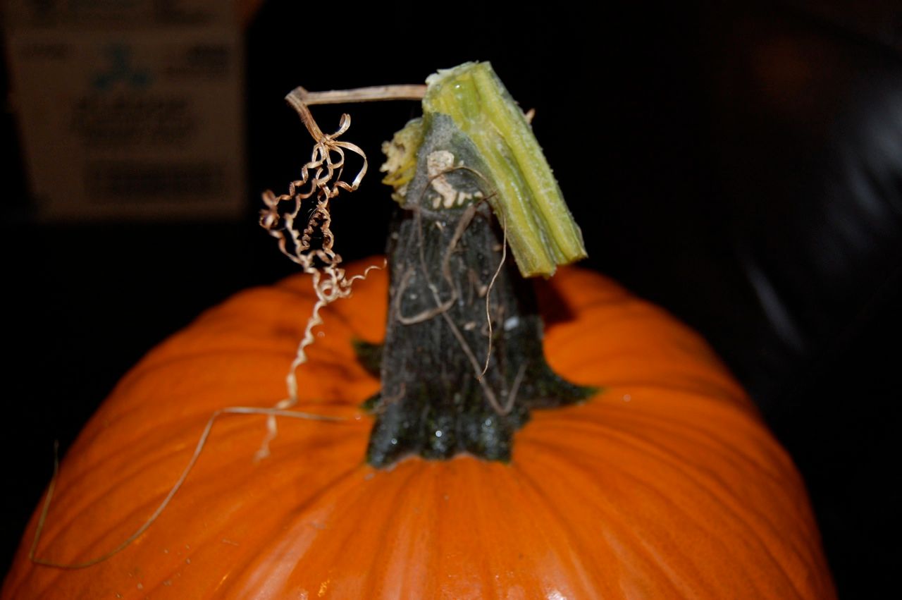 Precision Pumpkin Carving : 9 Steps (with Pictures) - Instructables