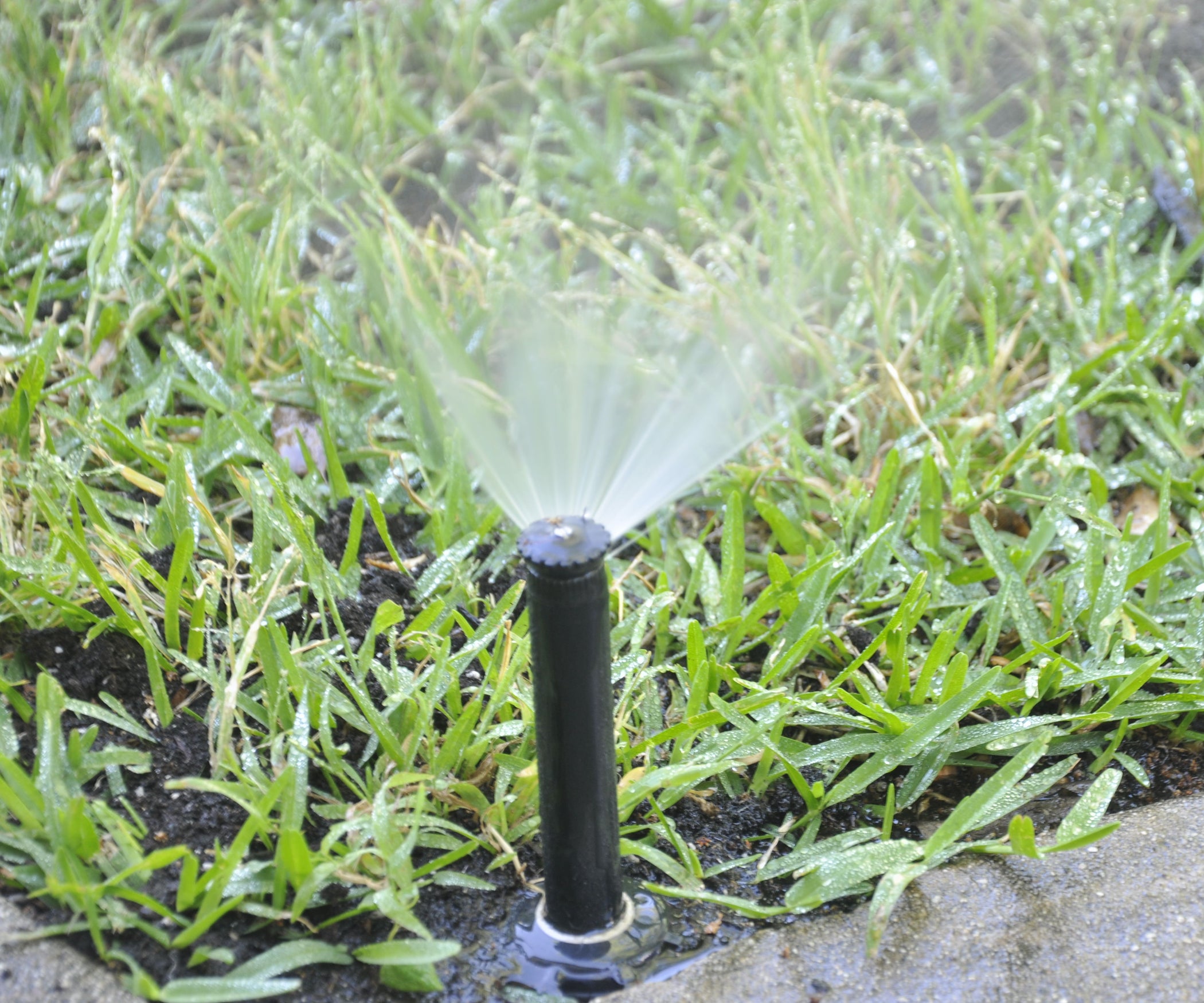 Weather Based Irrigation Controller : 6 Steps (with Pictures) - Instructables