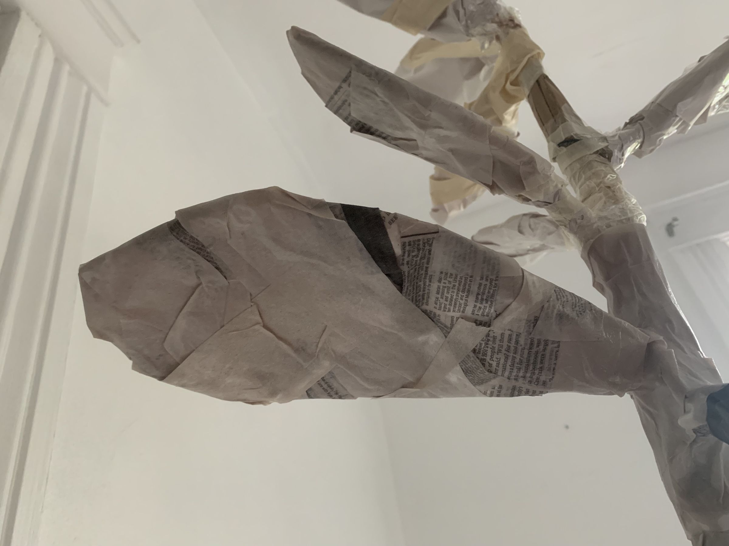 Supersized Paper-Mache House Plant : 8 Steps (with Pictures ...