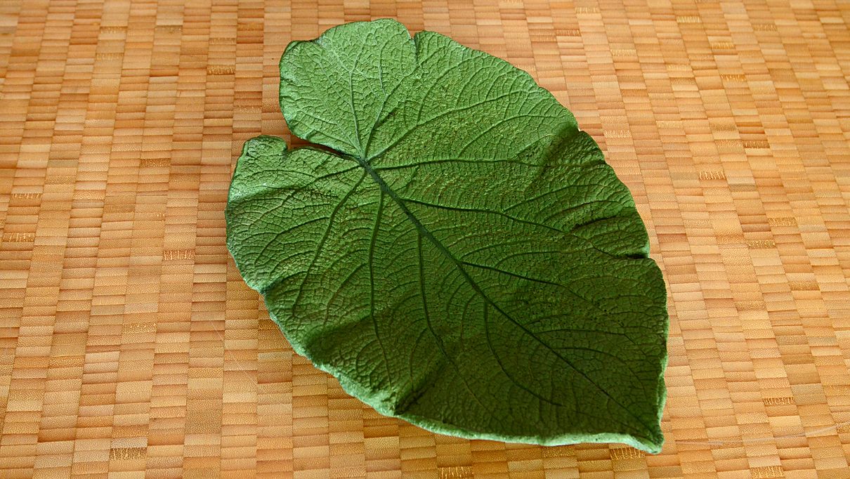 Shape Your Own : Decorative Concrete Leaf : 5 Steps - Instructables