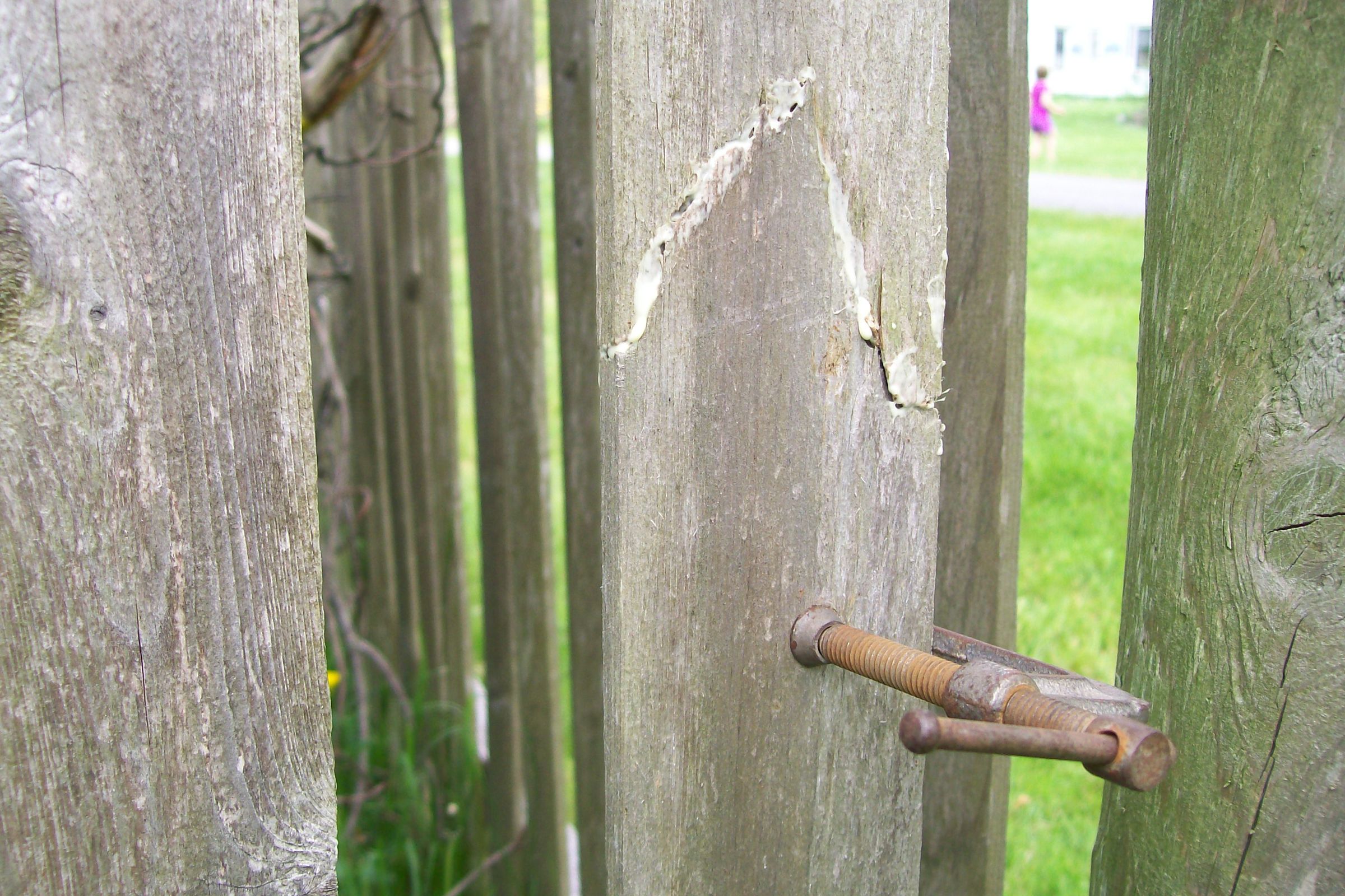 Picket Fence Repair : 5 Steps - Instructables