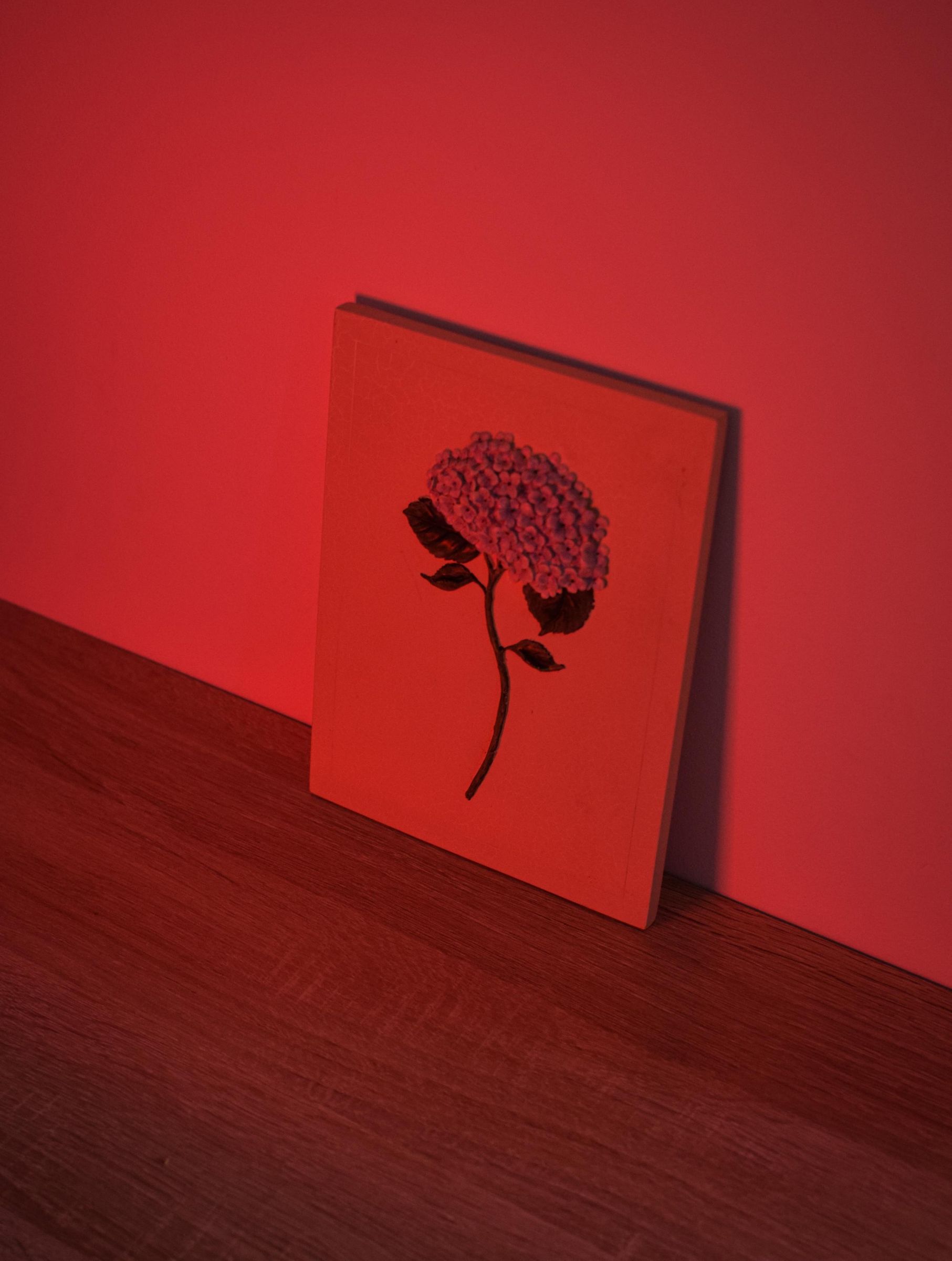 Build a Pocket RGB LED Light for Your Home Photo Studio : 5 Steps (with ...