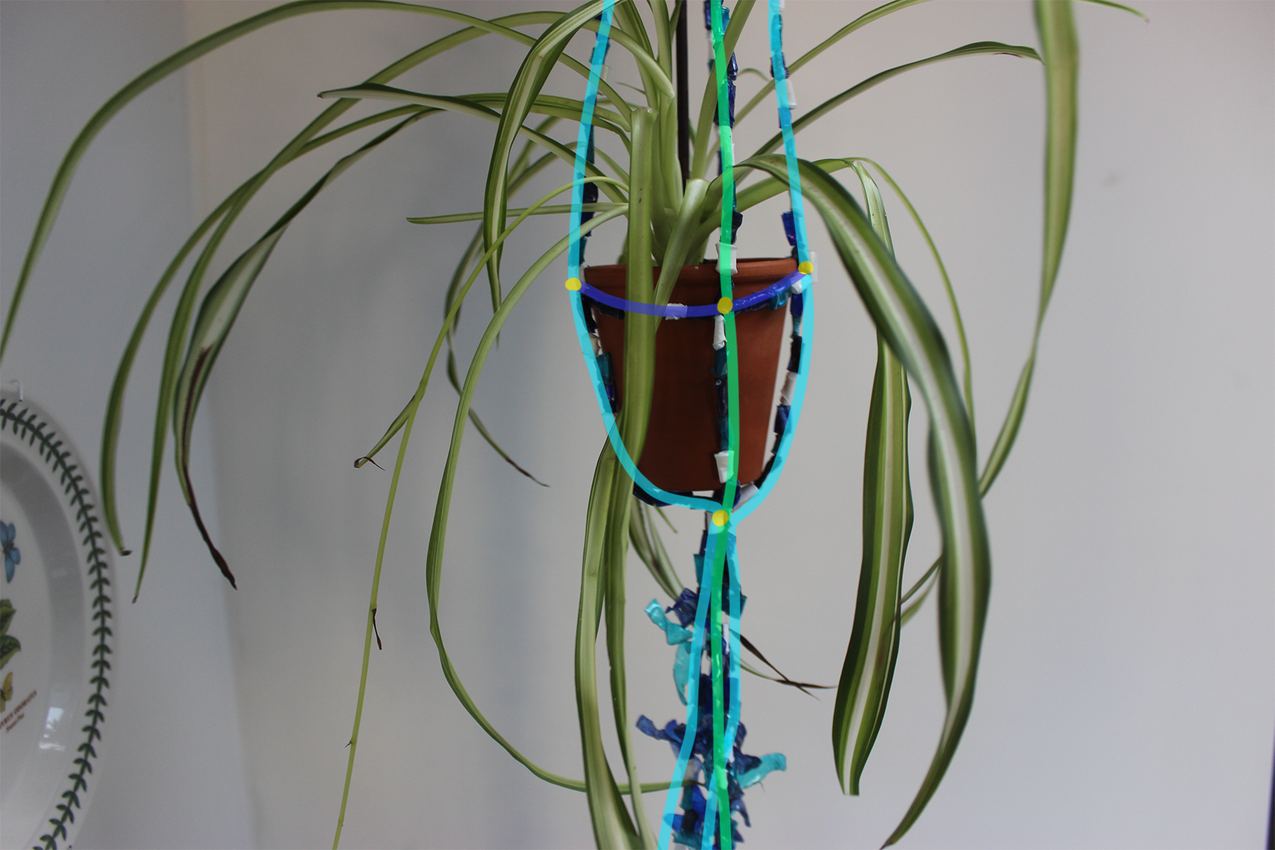 Up-cycled Plastic Plant Hanger : 7 Steps - Instructables