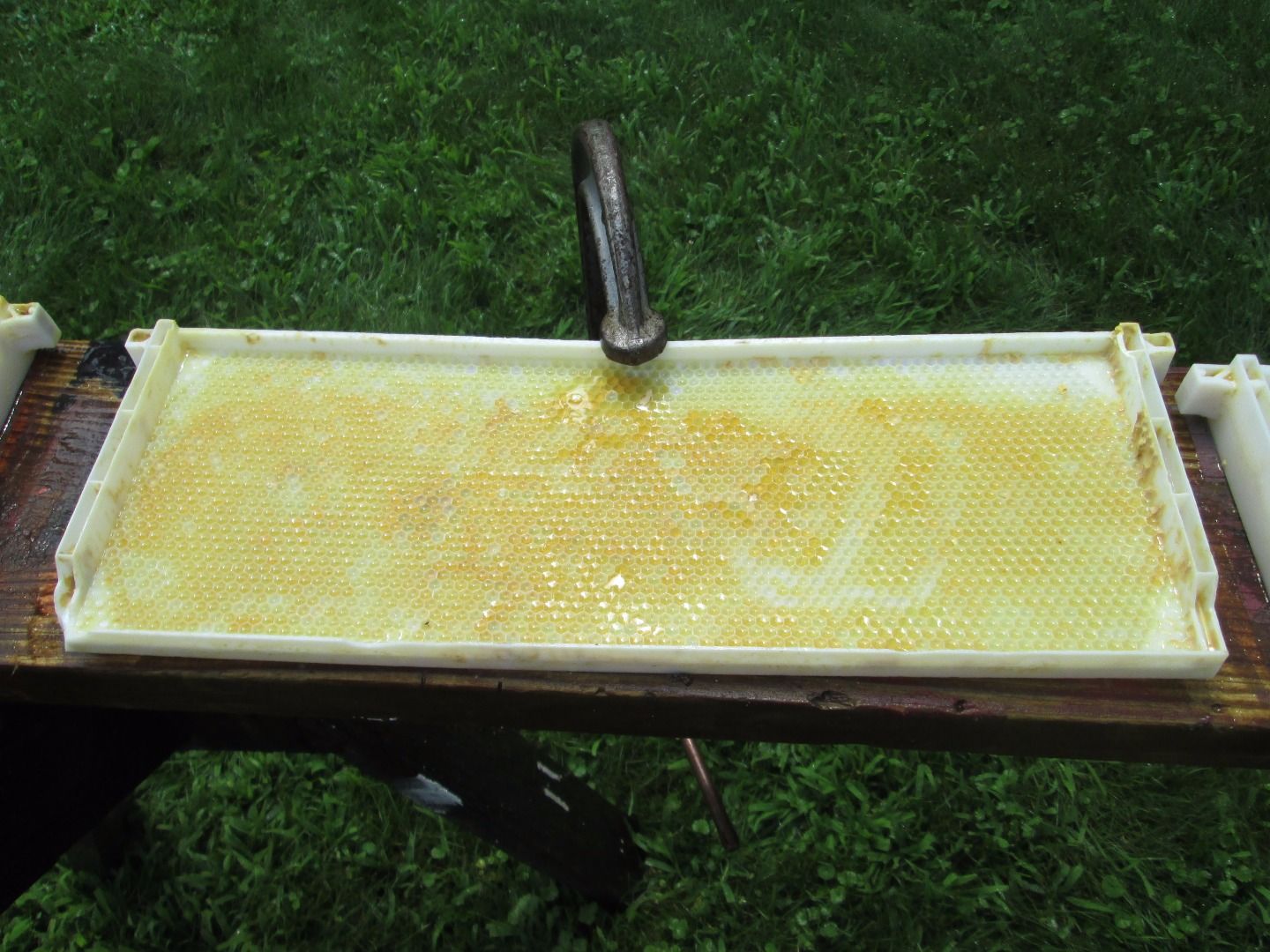 Salvaging Plastic Beehive Frames : 4 Steps - Instructables