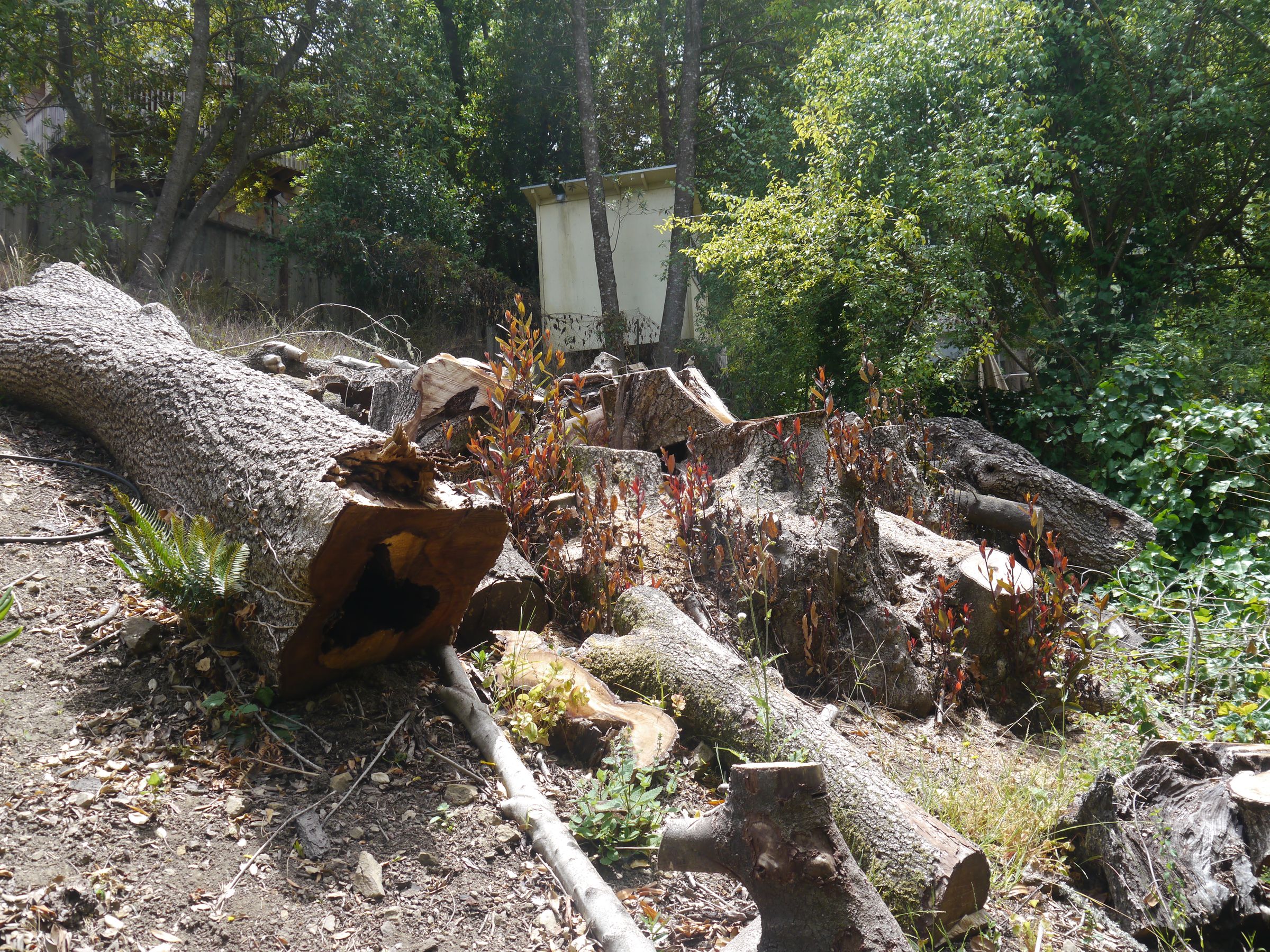 Tree Trunk Retaining Wall - Instructables