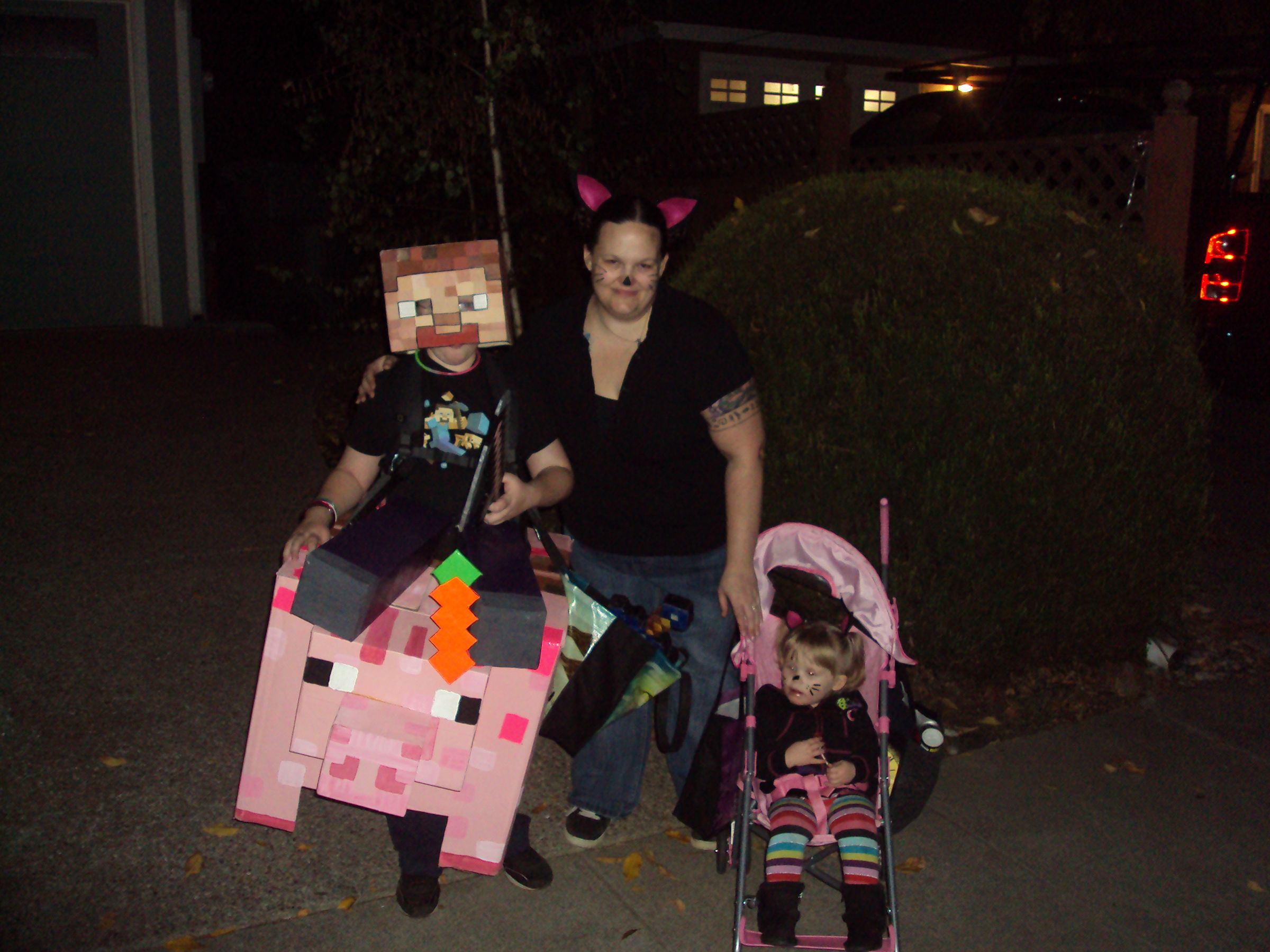 Steve Riding a Pig Minecraft Cardboard Halloween Costume (with Pictures ...
