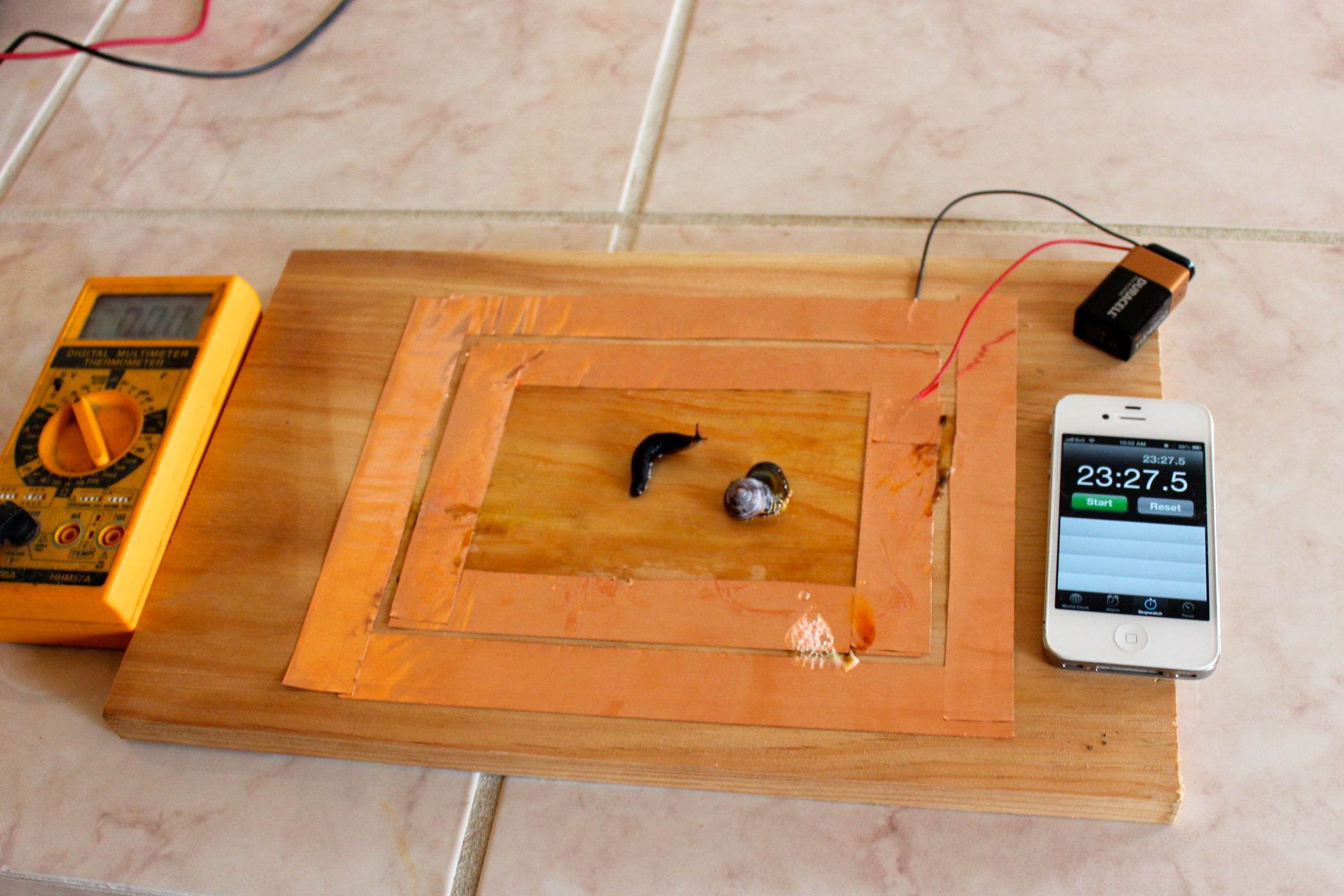 Comparing Slug Control Methods - Instructables