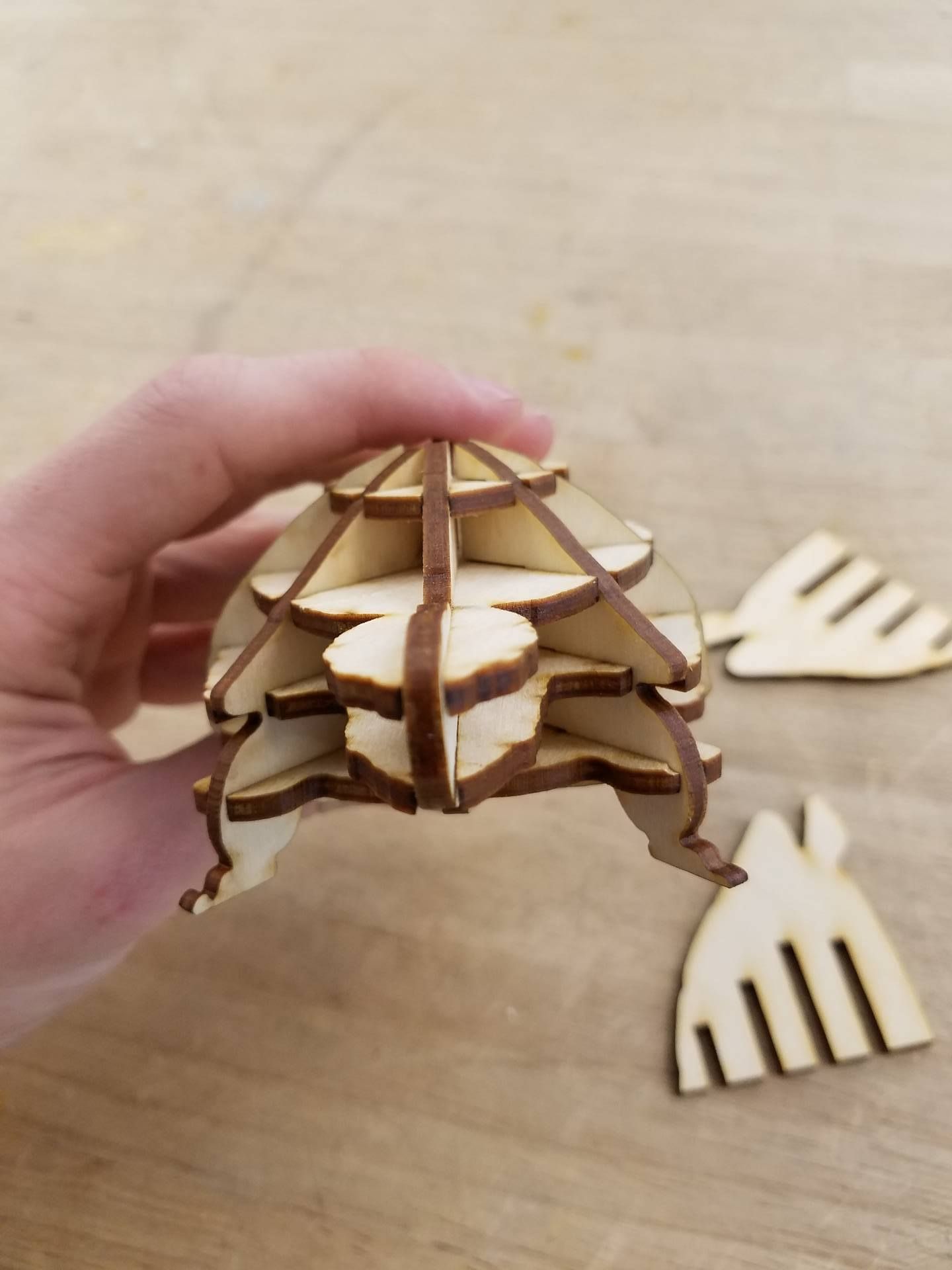Laser Cut Turtle : 3 Steps (with Pictures) - Instructables