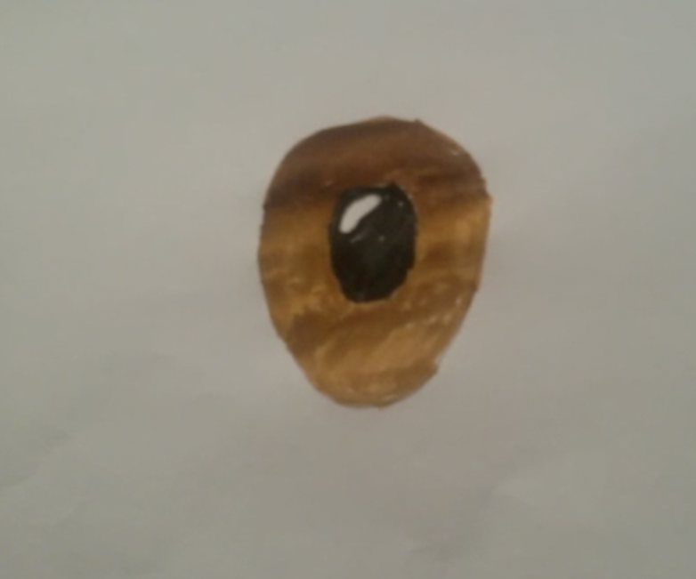 An Eye : 9 Steps - Instructables