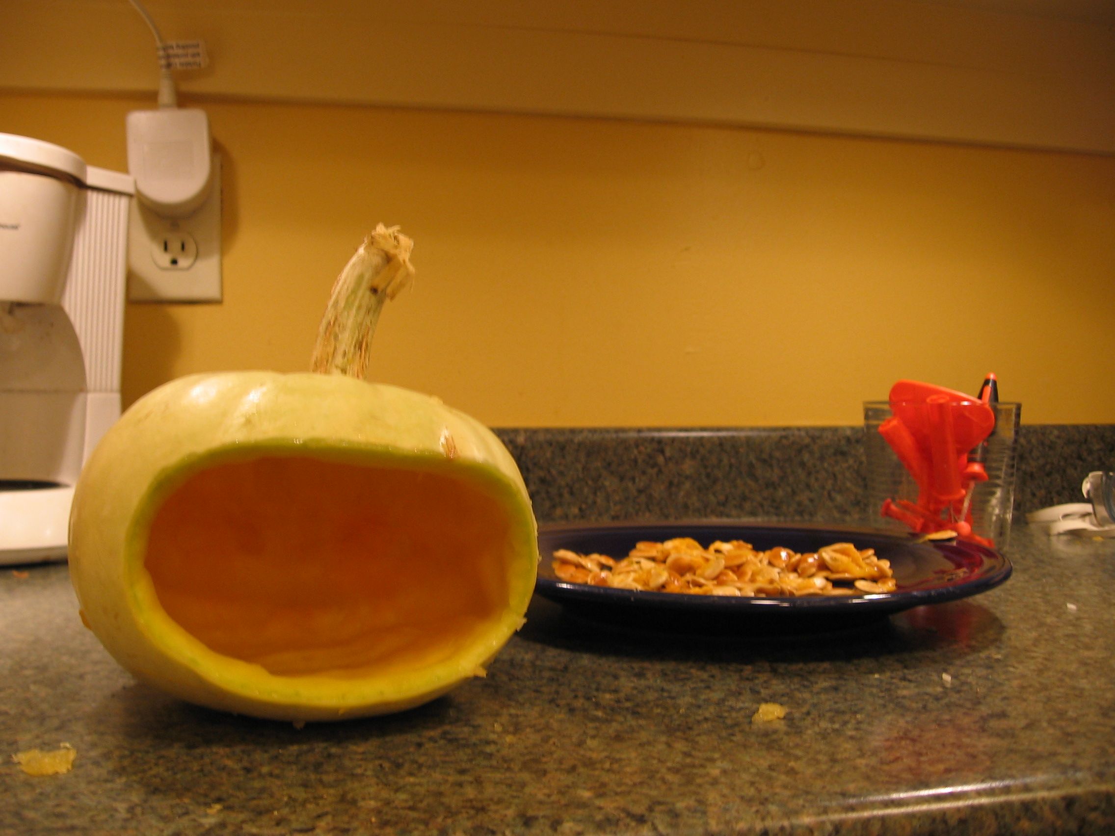 Pumpkin Bird Feeder : 3 Steps (with Pictures) - Instructables