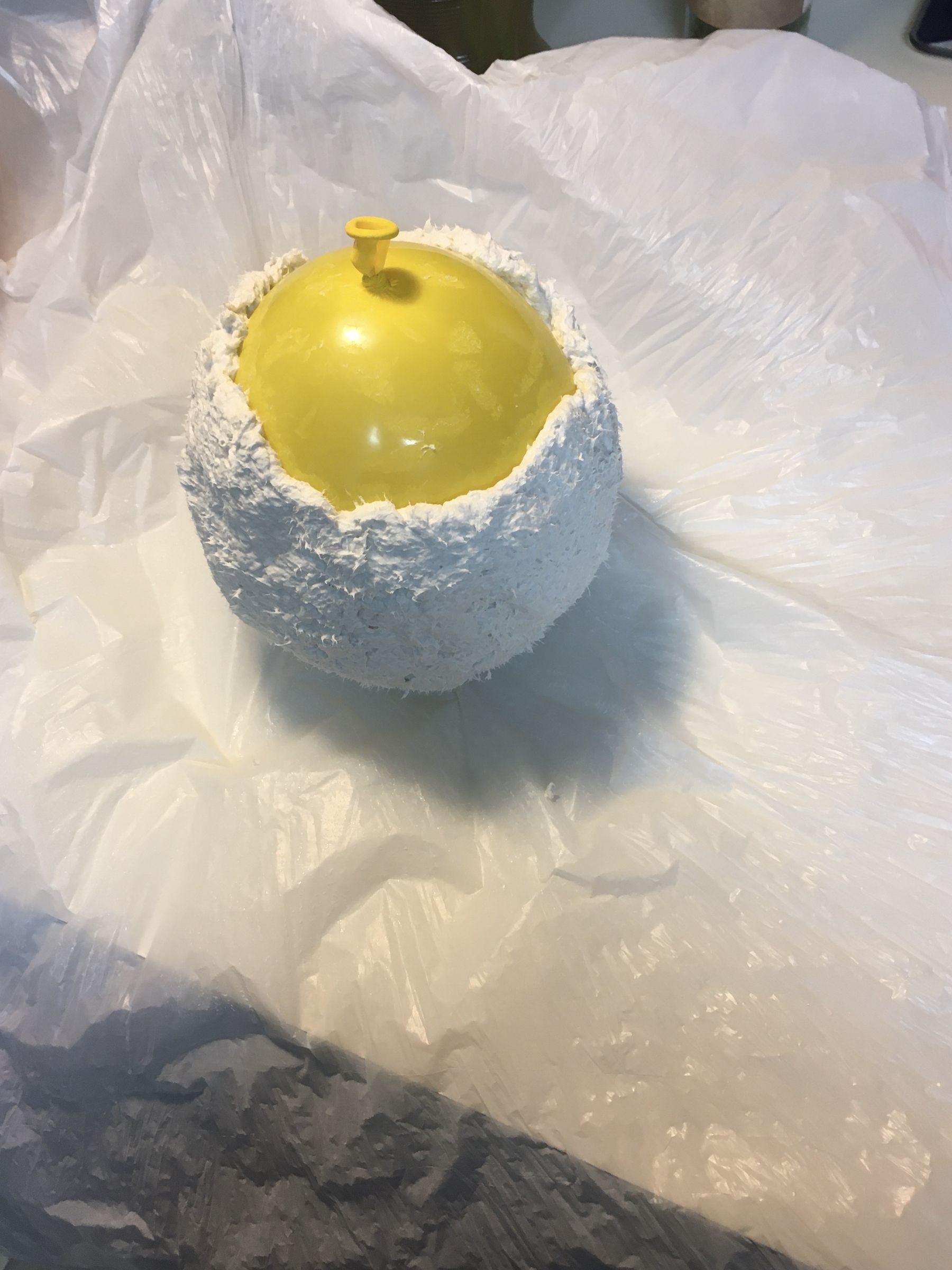 Barnacle Sculptures--and an Experiment With 2 Kinds of Homemade Paper ...