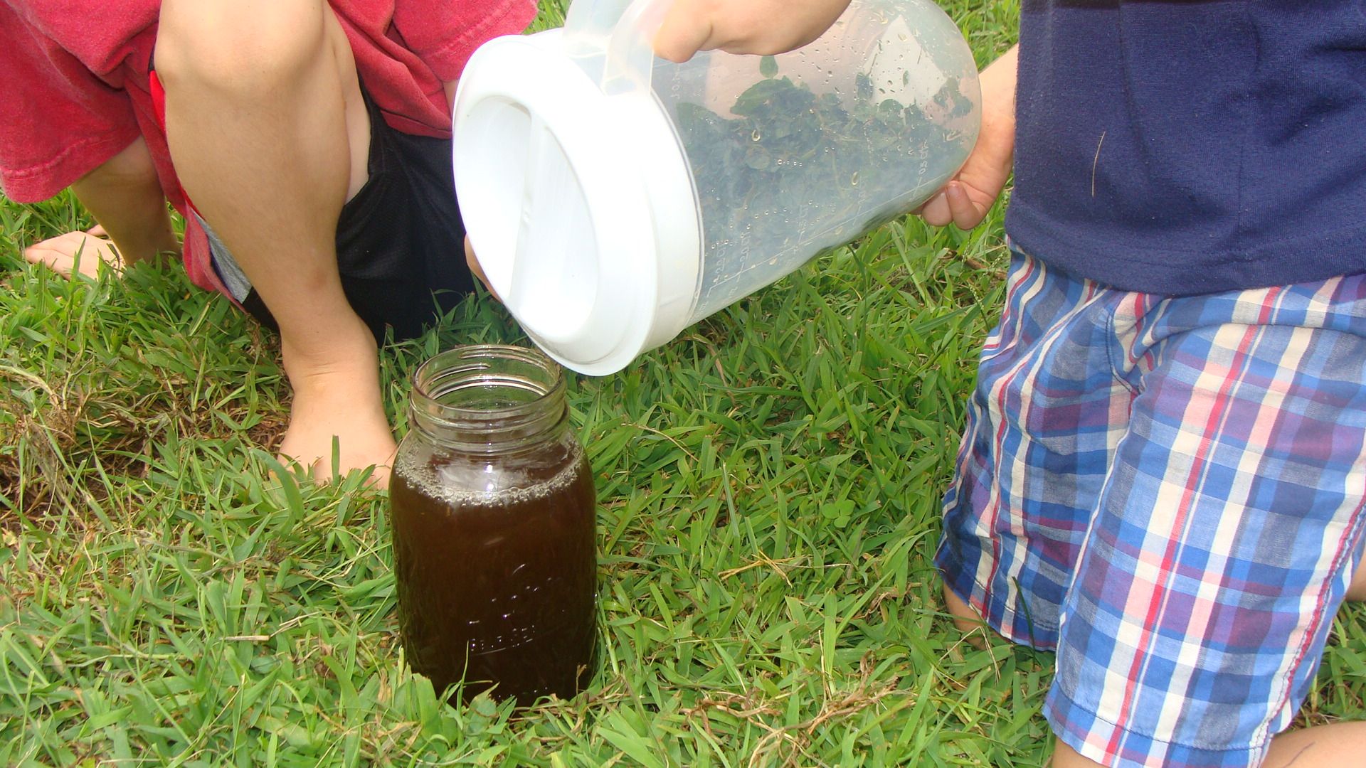 Cold Brew Wild Mint Tea : 6 Steps (with Pictures) - Instructables