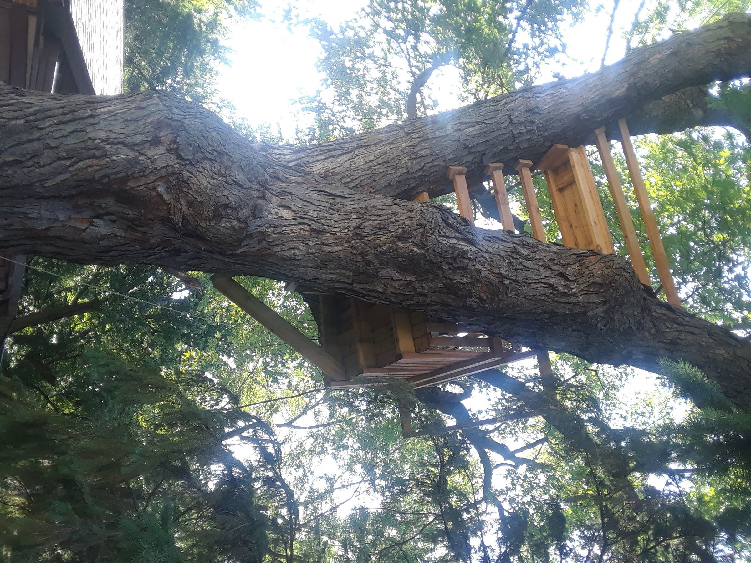 Tree House With Bench and Pulley System : 11 Steps - Instructables