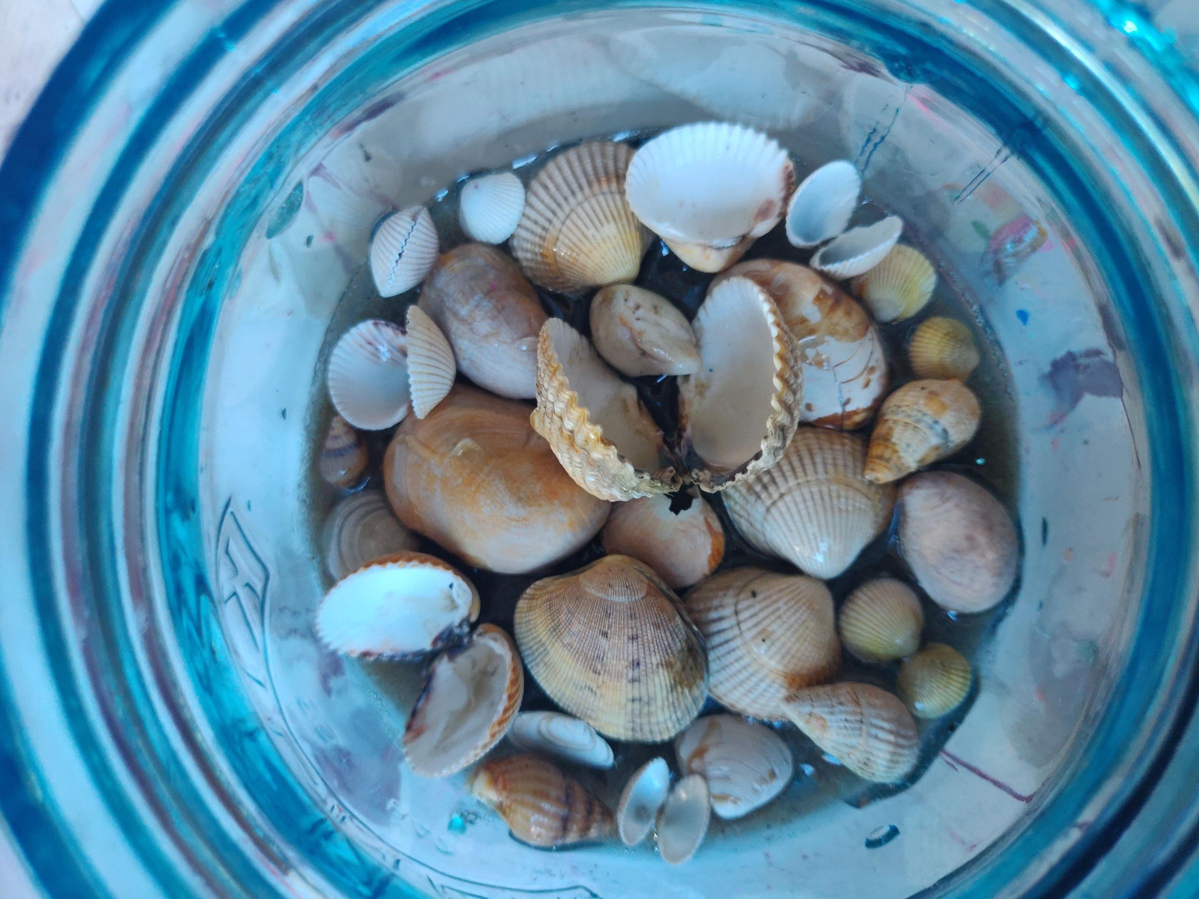 Saving a Day at the Beach in a Jar : 8 Steps (with Pictures ...