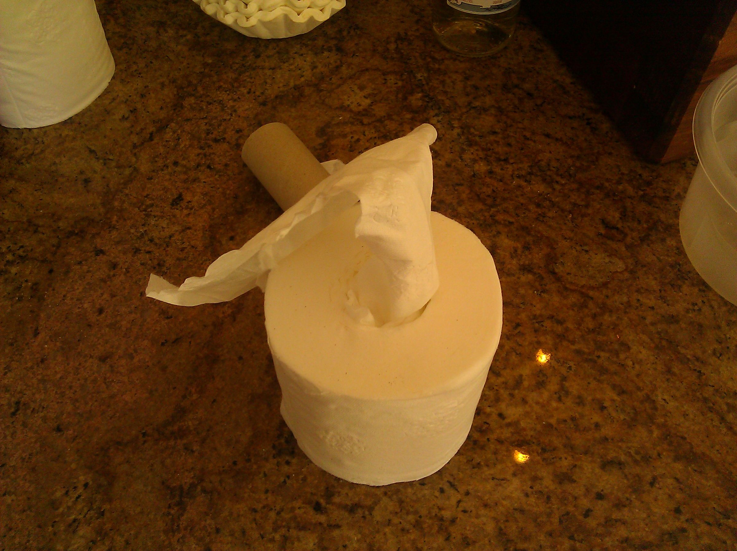 How to Make a Center-Pull Tissue Dispenser on the Cheap : 4 Steps ...