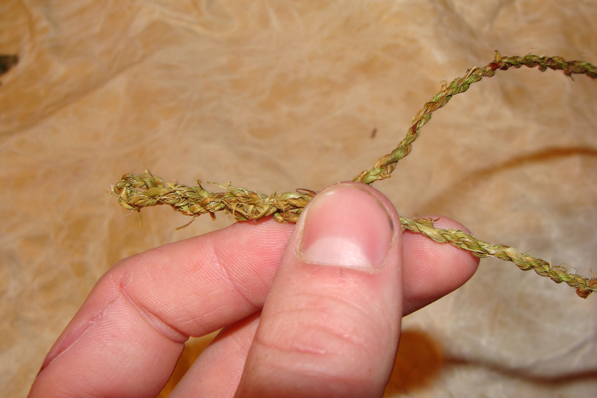 Natural Cordage : 7 Steps (with Pictures) - Instructables
